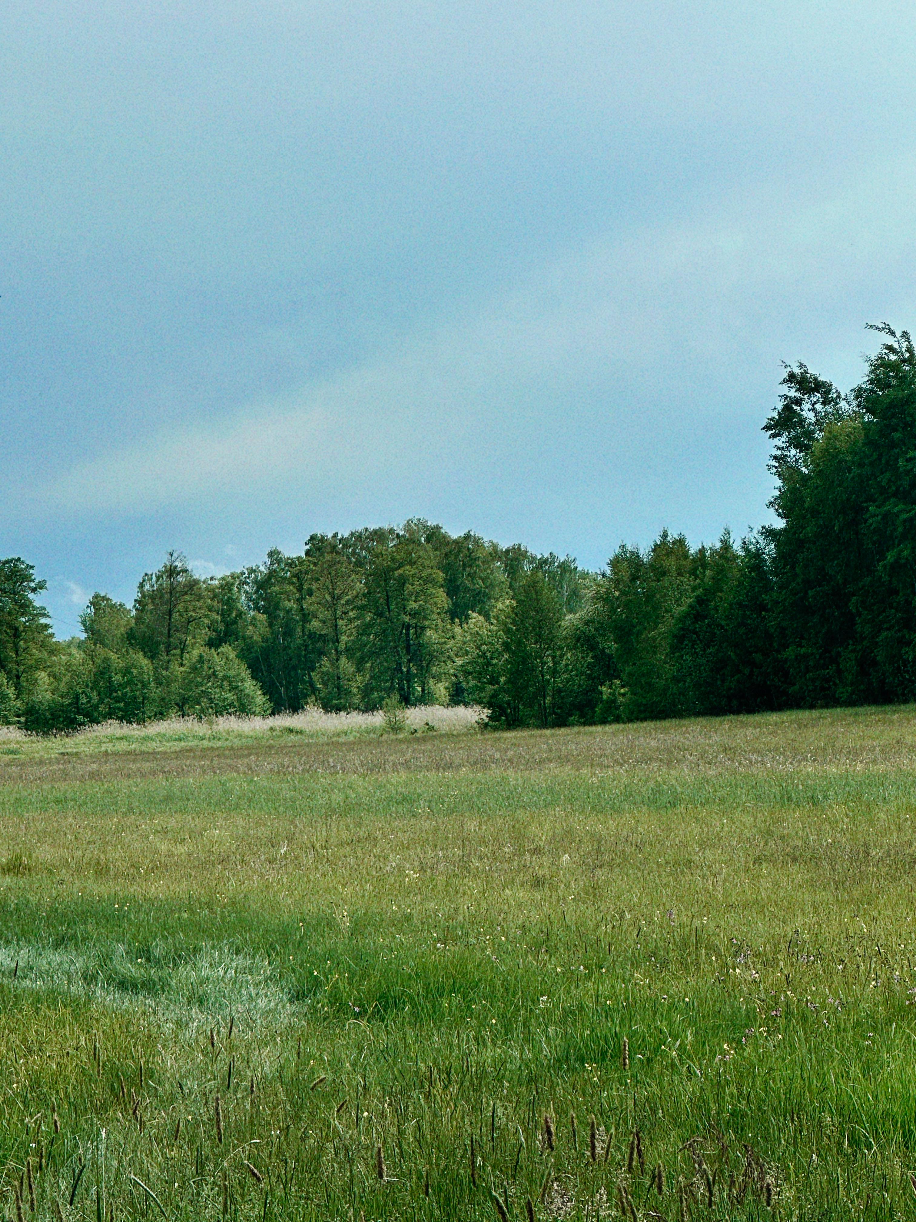 Sarah Films - Photography