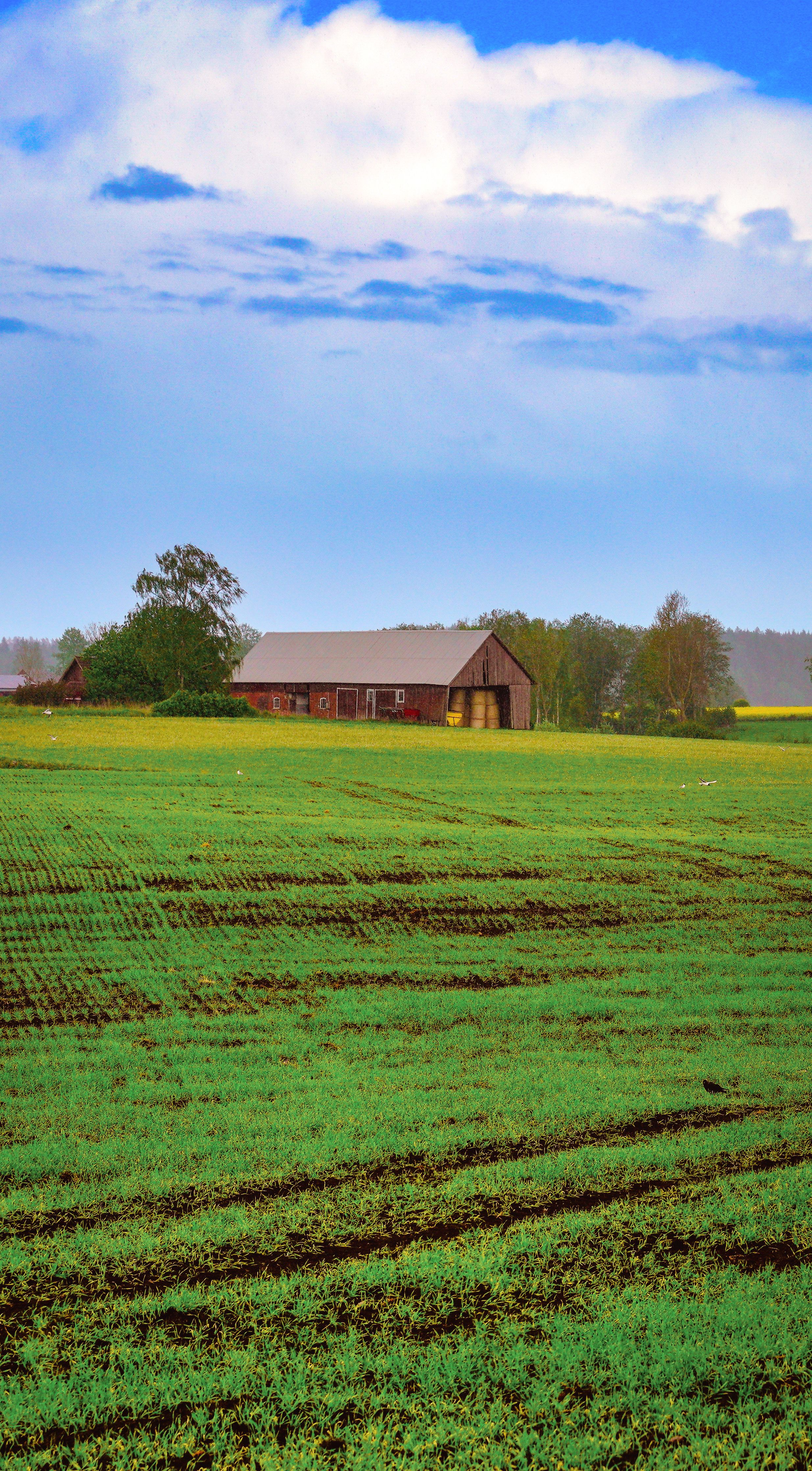 Scenic Rural Farm Landscape with Barn · Free Stock Photo