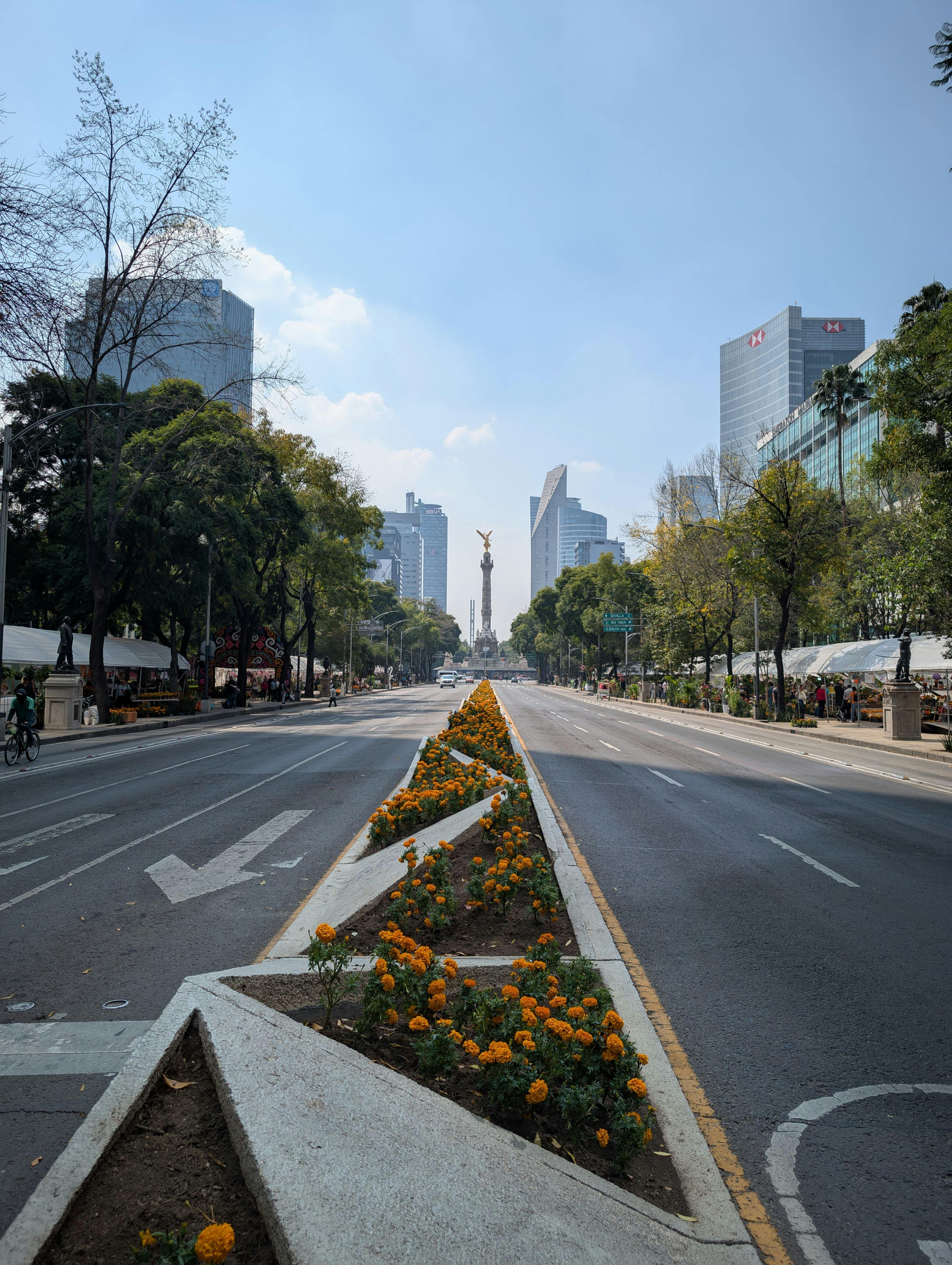 Road And Flowers Photos, Download The BEST Free Road And Flowers Stock ...