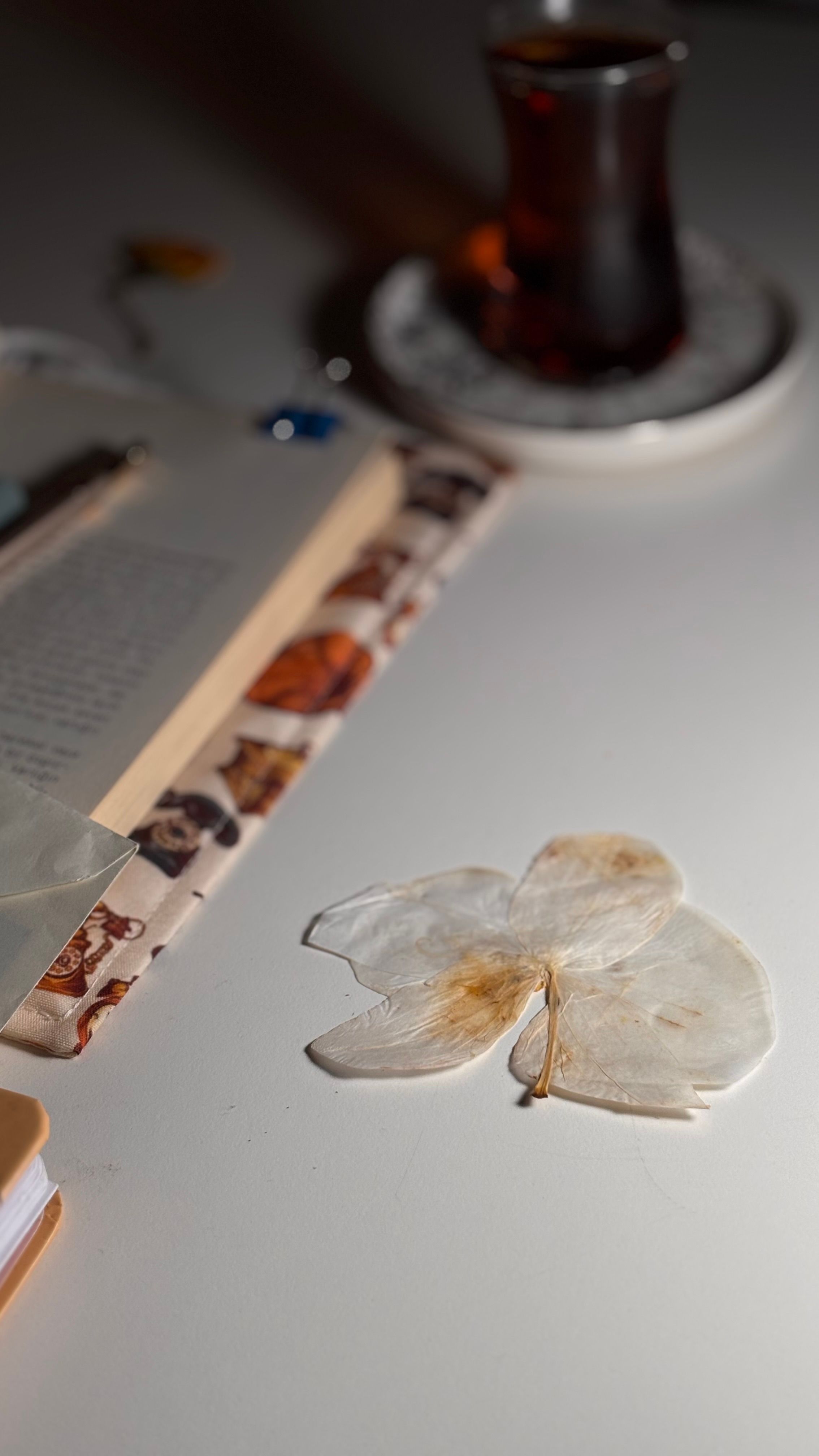 Tragedy Books Photos, Download The BEST Free Tragedy Books Stock Photos ...