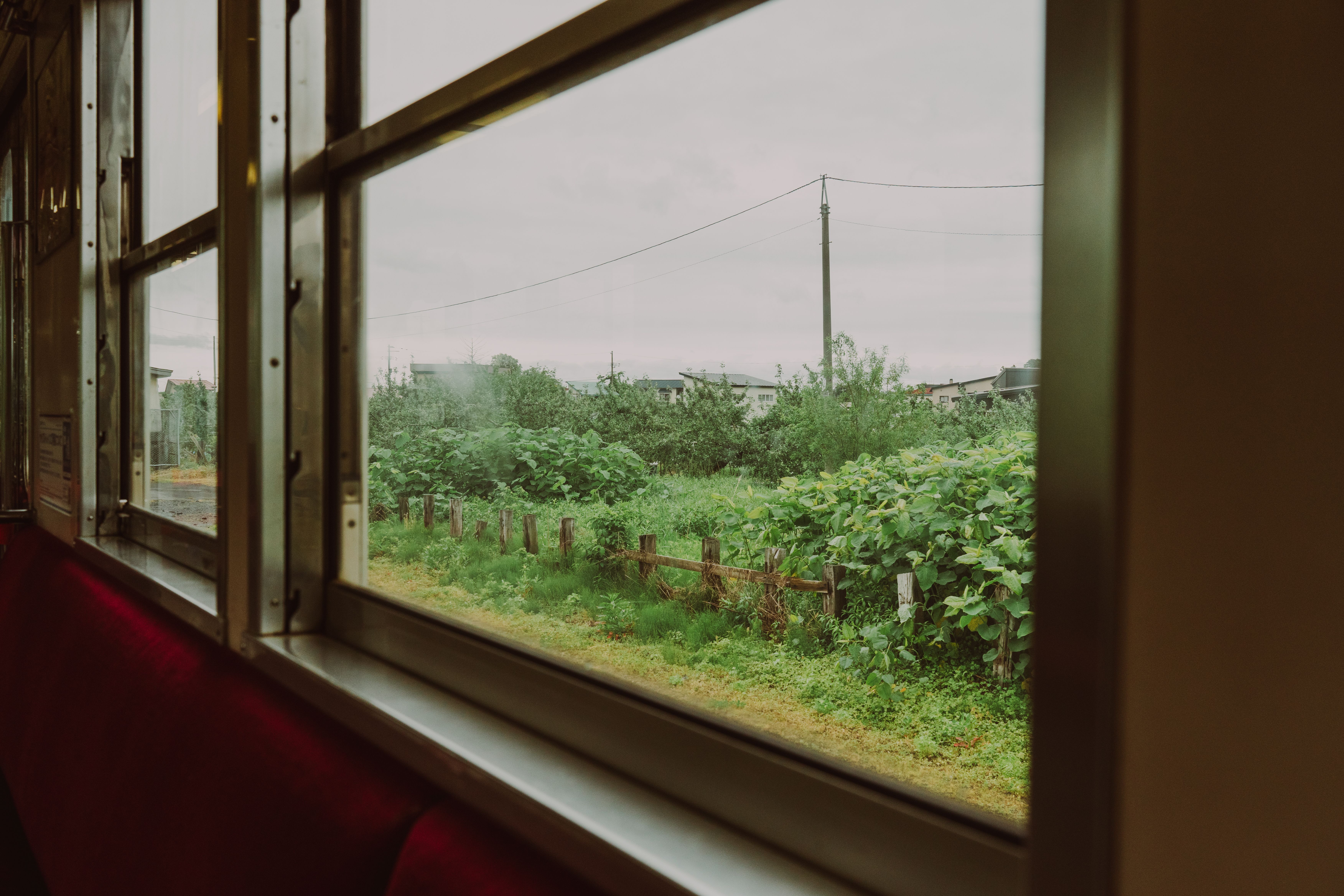 Train Window View of Lush Green Countryside · Free Stock Photo