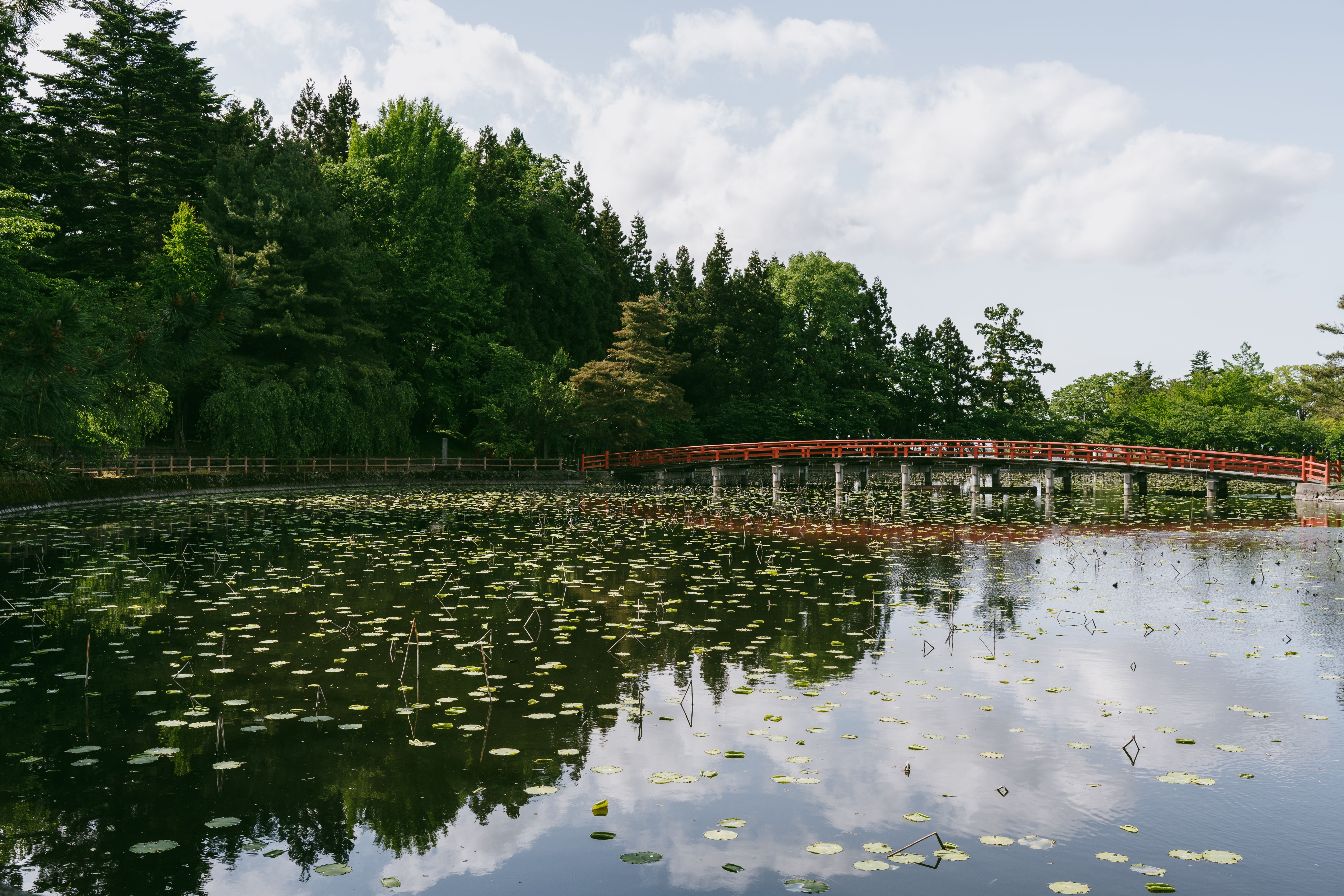 Tranquil Pond with Red Bridge and Lush Greenery · Free Stock Photo