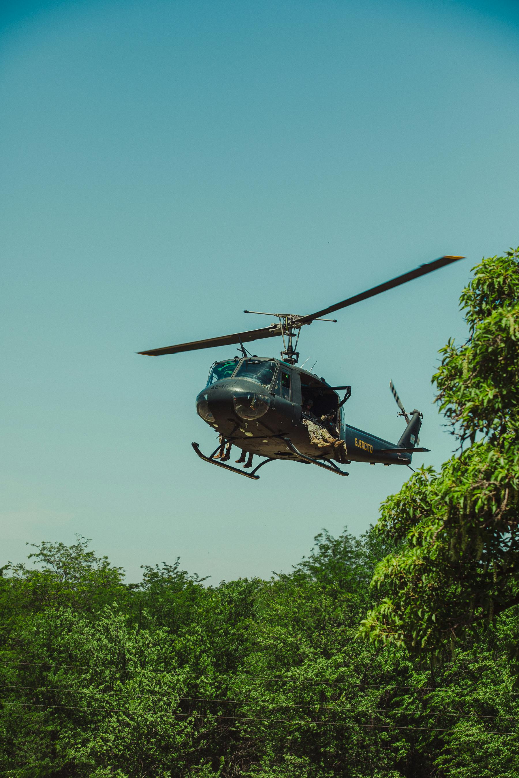 Army Pfp Photos, Download The BEST Free Army Pfp Stock Photos & HD Images