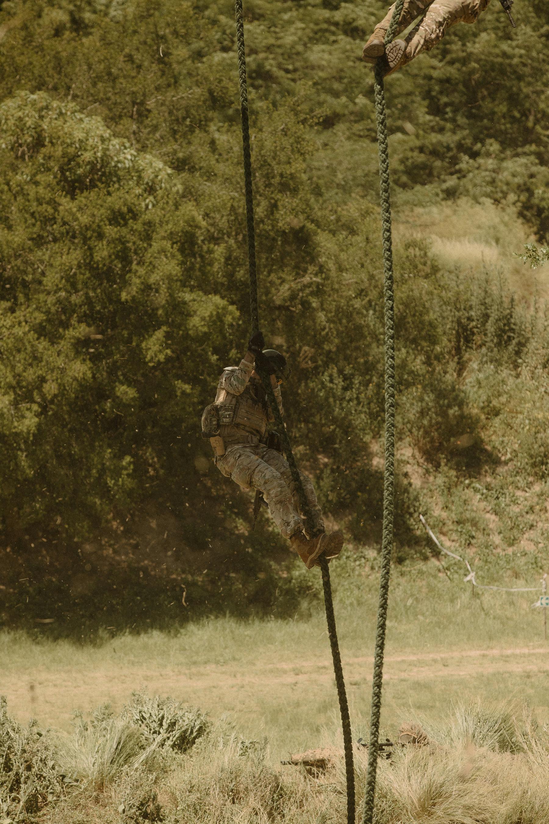 Army Pfp Photos, Download The BEST Free Army Pfp Stock Photos & HD Images