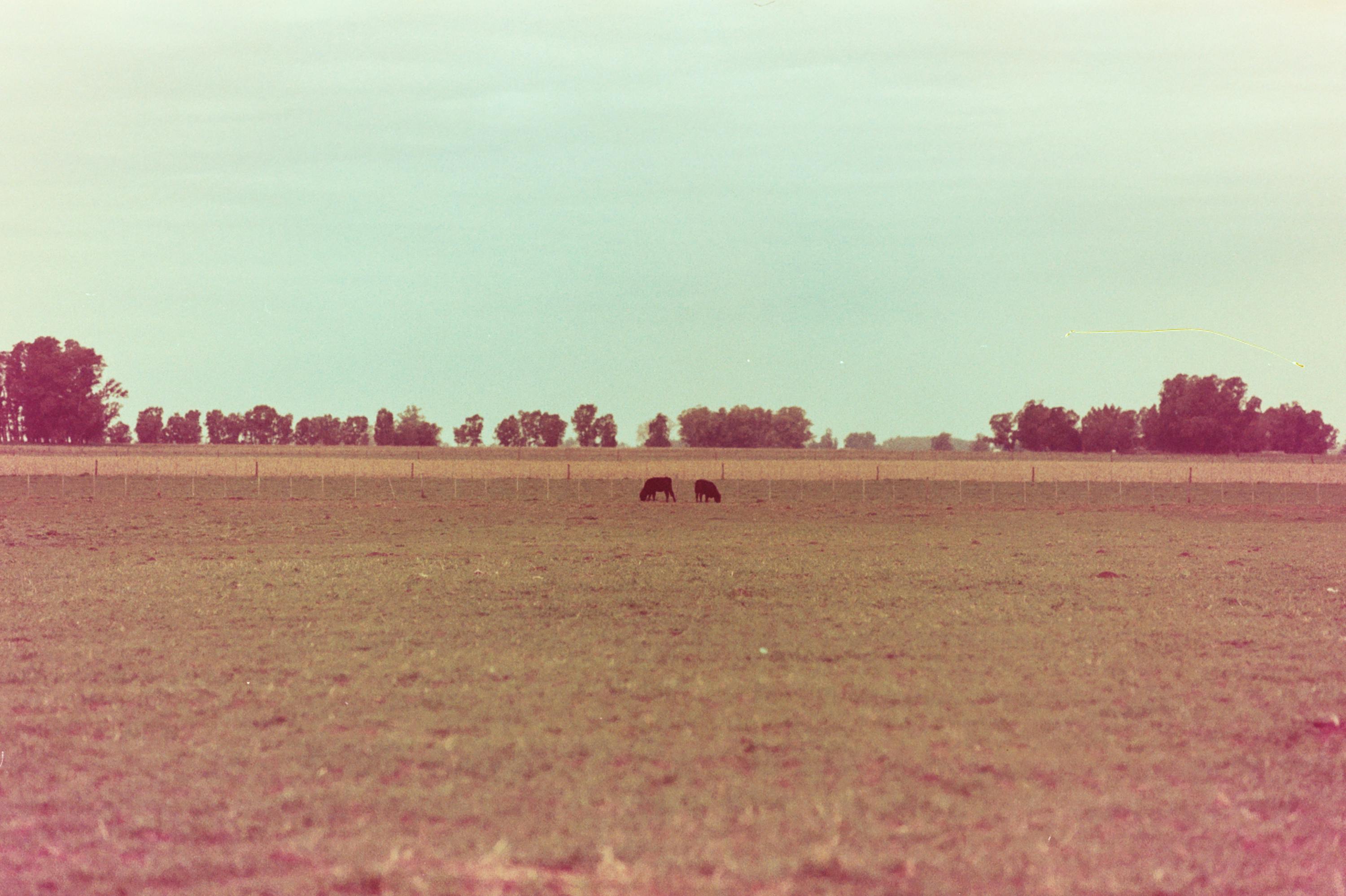 Tlb Photos, Download The BEST Free Tlb Stock Photos & HD Images