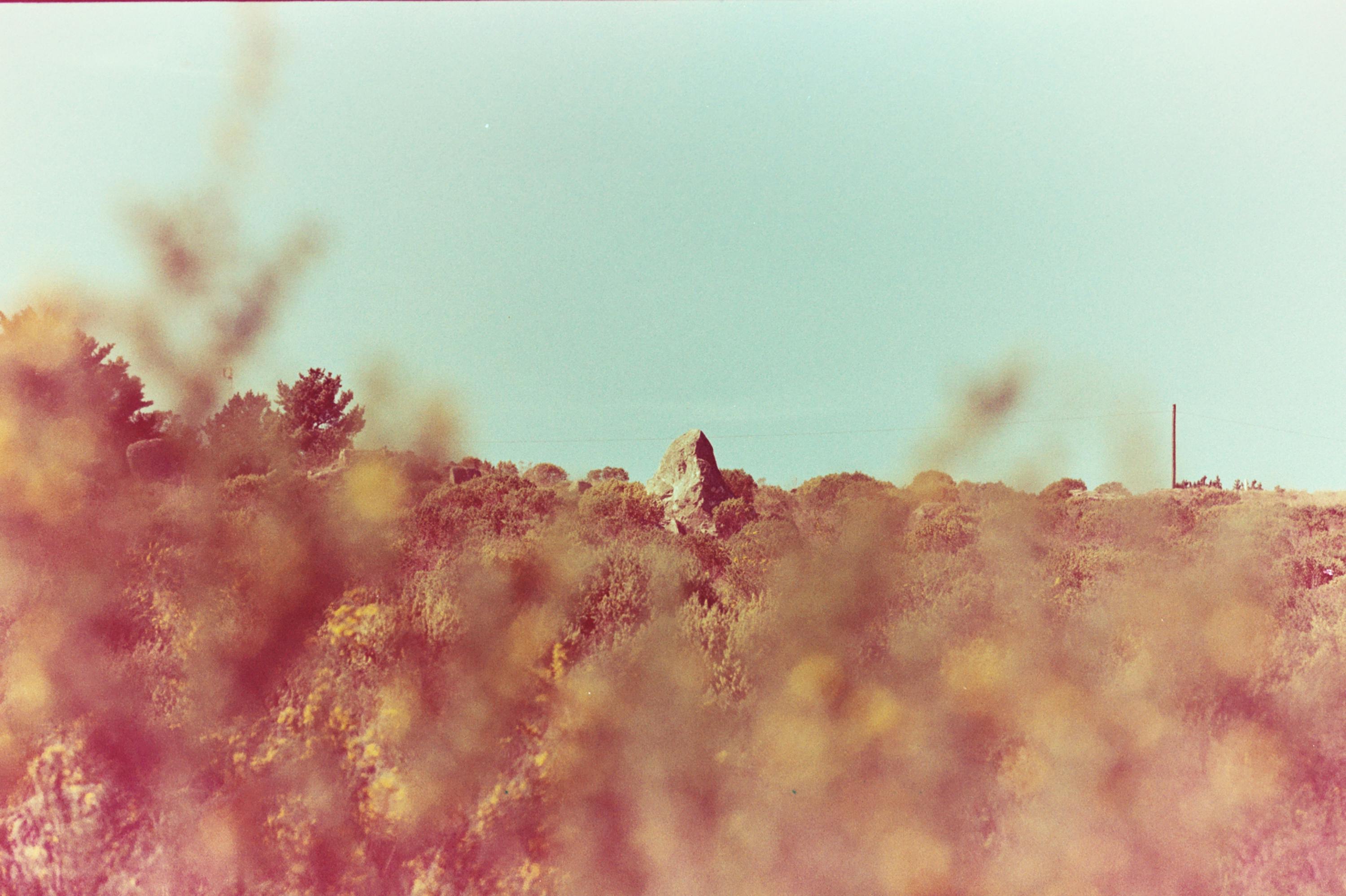 Ambient Photos, Download The BEST Free Ambient Stock Photos & HD Images