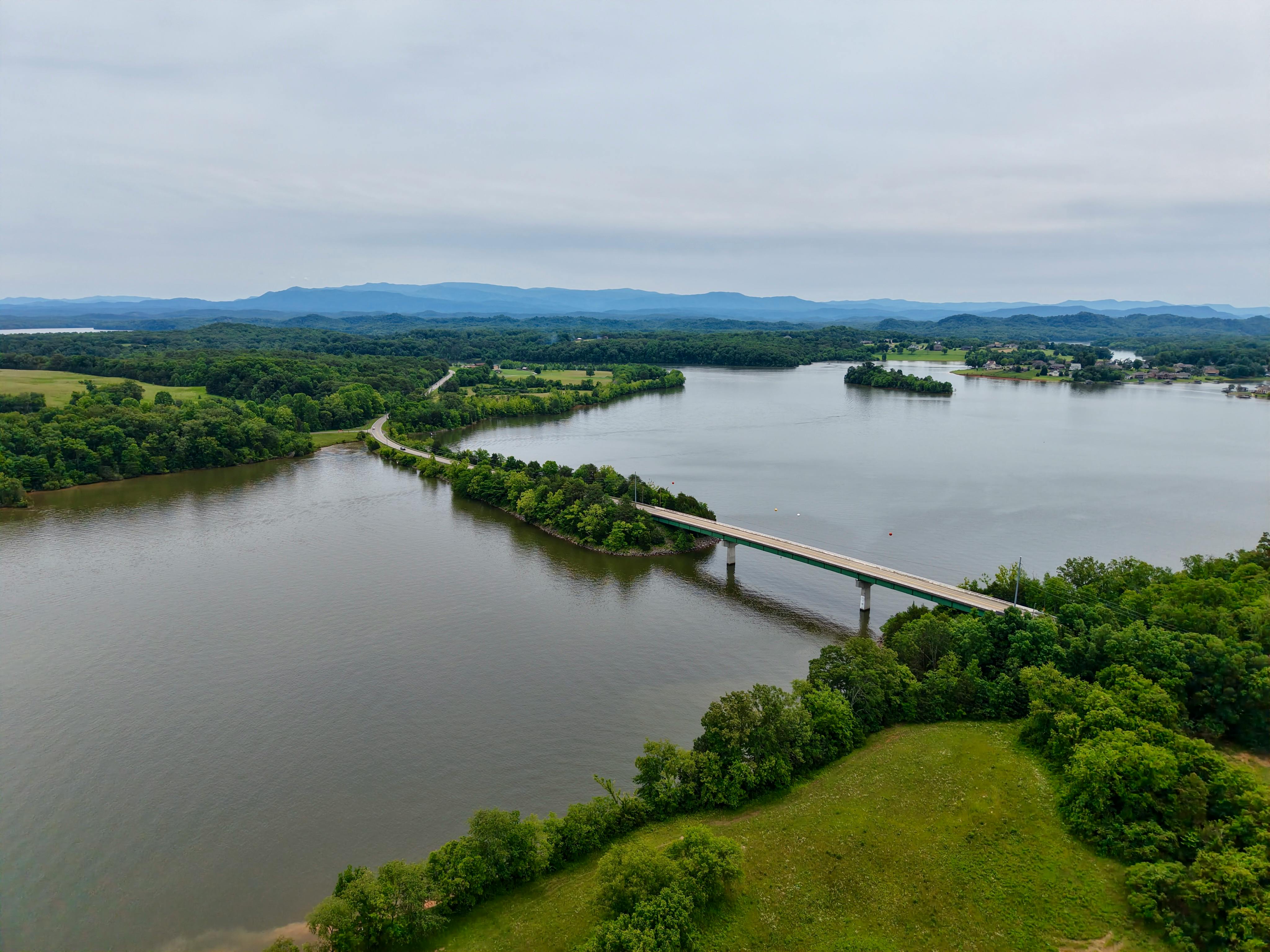 Green-leafed Trees Near Bridge · Free Stock Photo