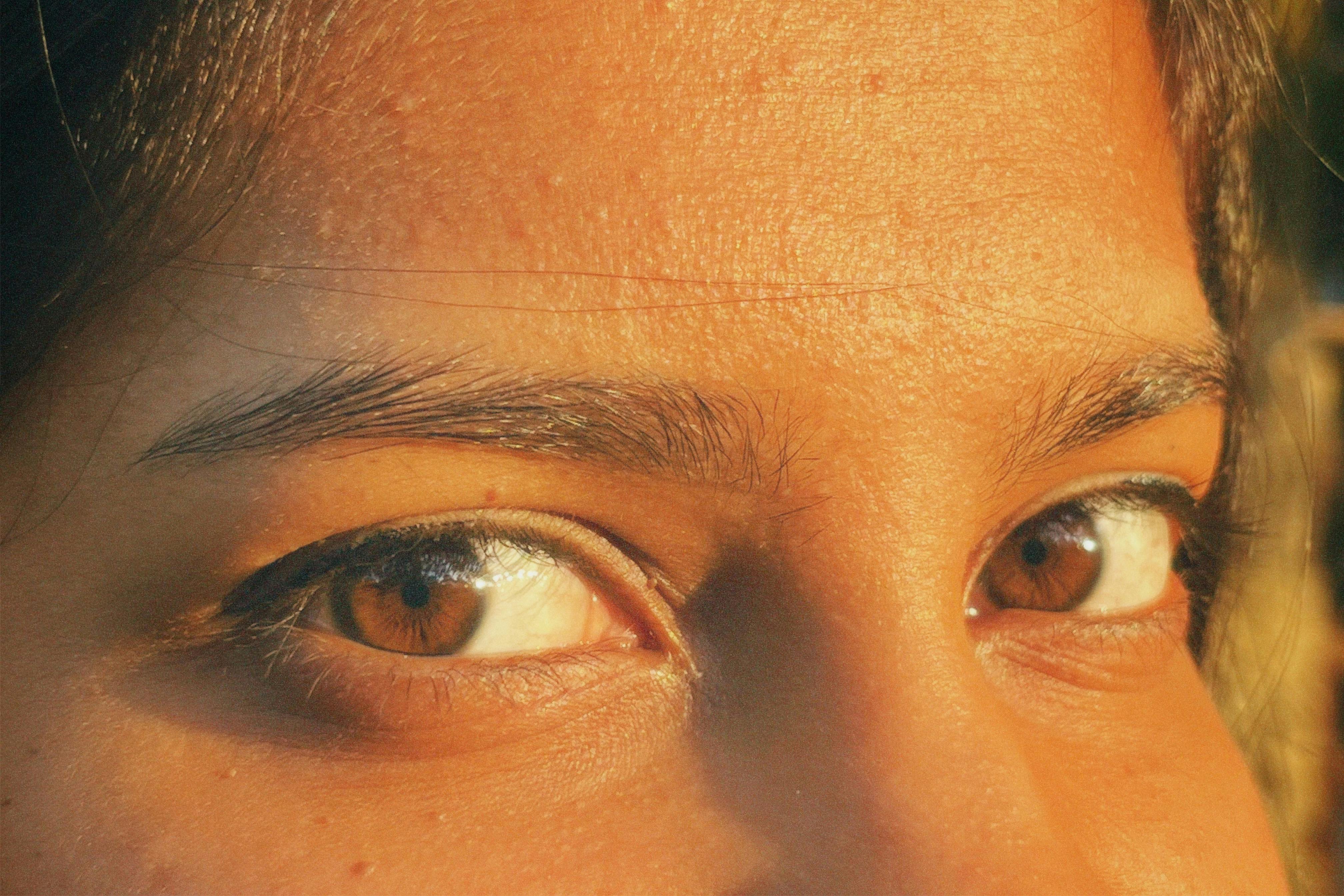 Stuhlinger Brow Photos, Download The BEST Free Stuhlinger Brow Stock ...