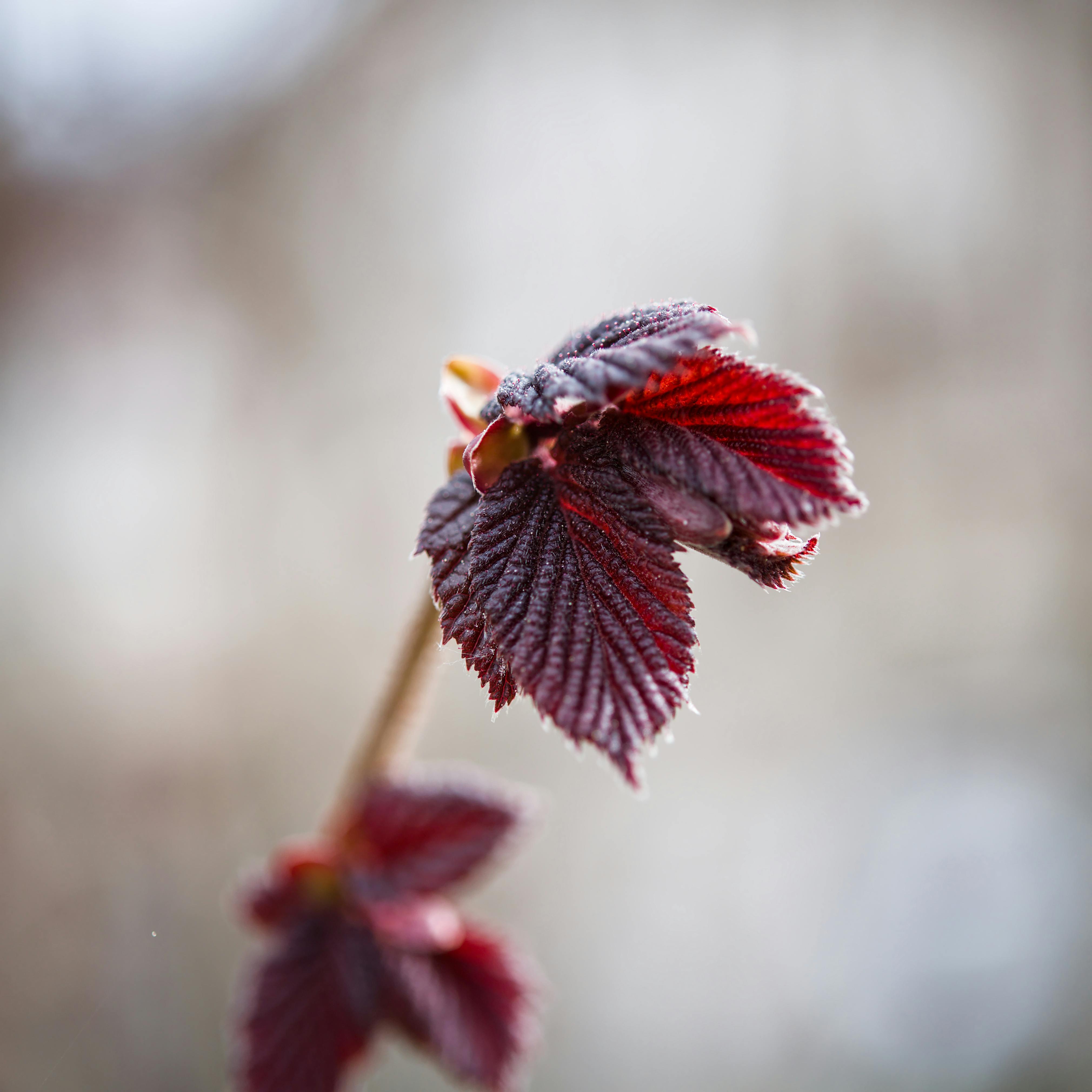 Sad+Satan+Images+Uncensored Photos, Download The BEST Free Sad+Satan ...