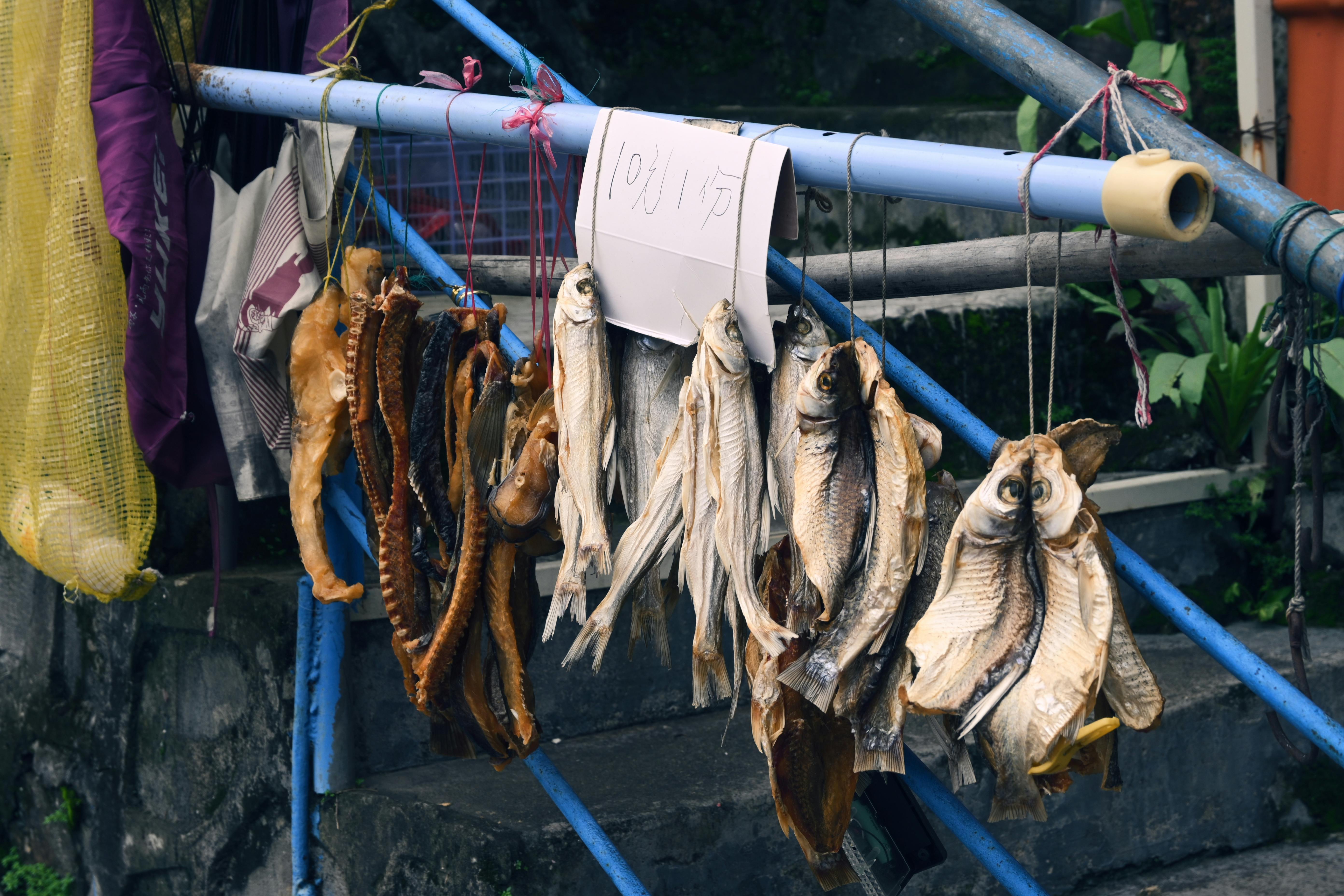 Dried Fish Hanging on Outdoor Railings · Free Stock Photo
