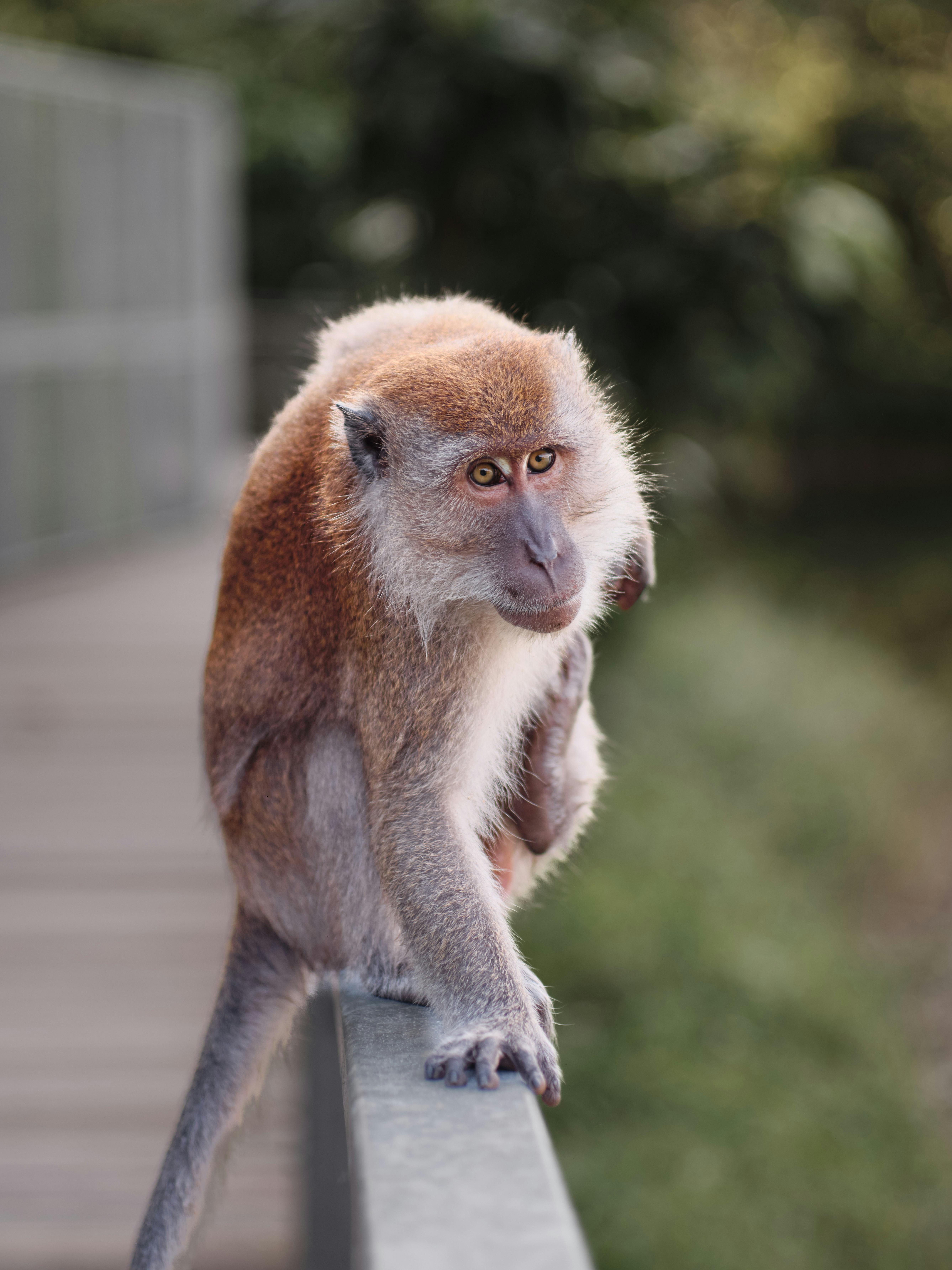 Behavior Photos, Download The BEST Free Behavior Stock Photos & HD Images