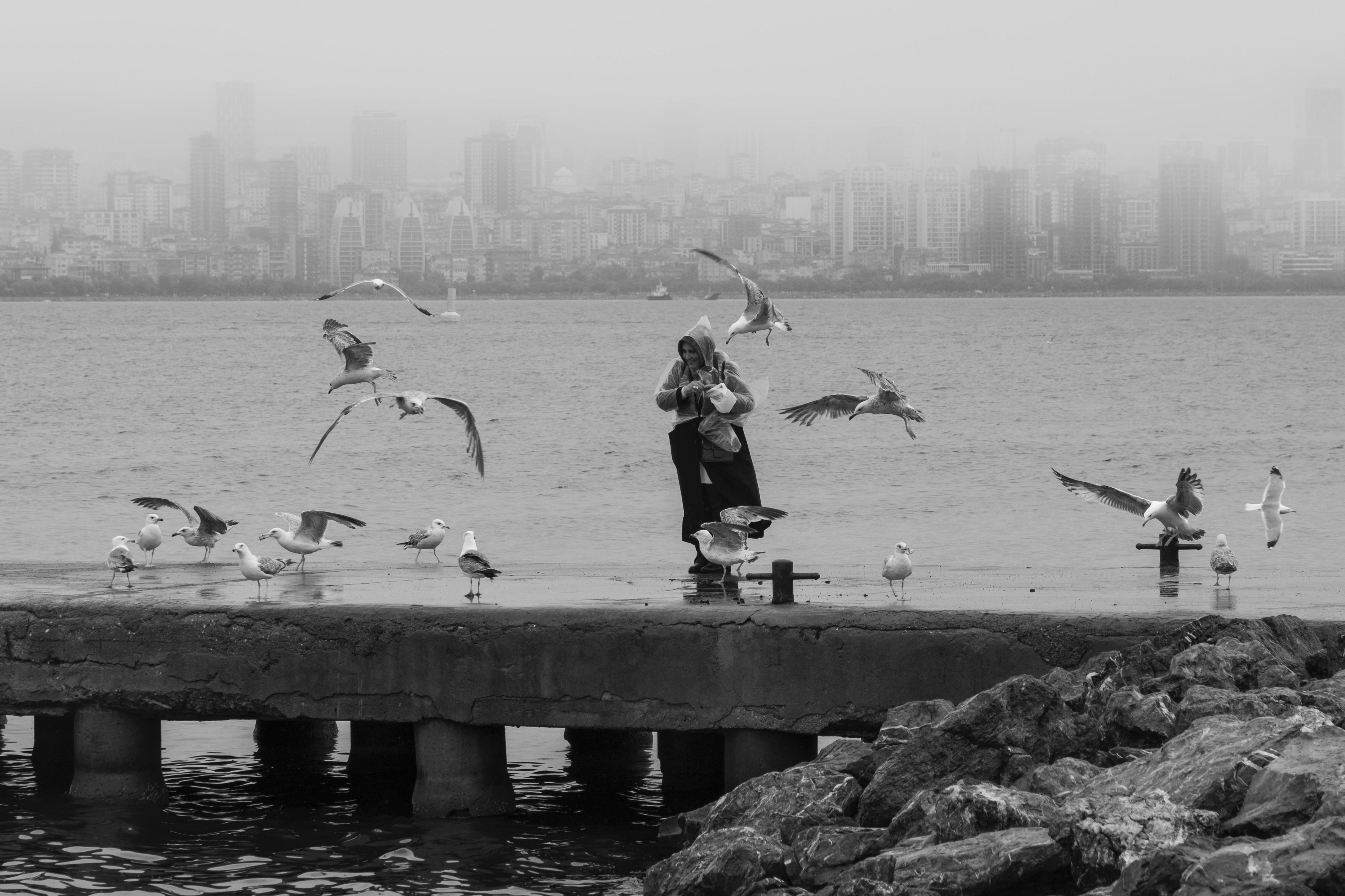 Mist Human Photos, Download The BEST Free Mist Human Stock Photos & HD ...