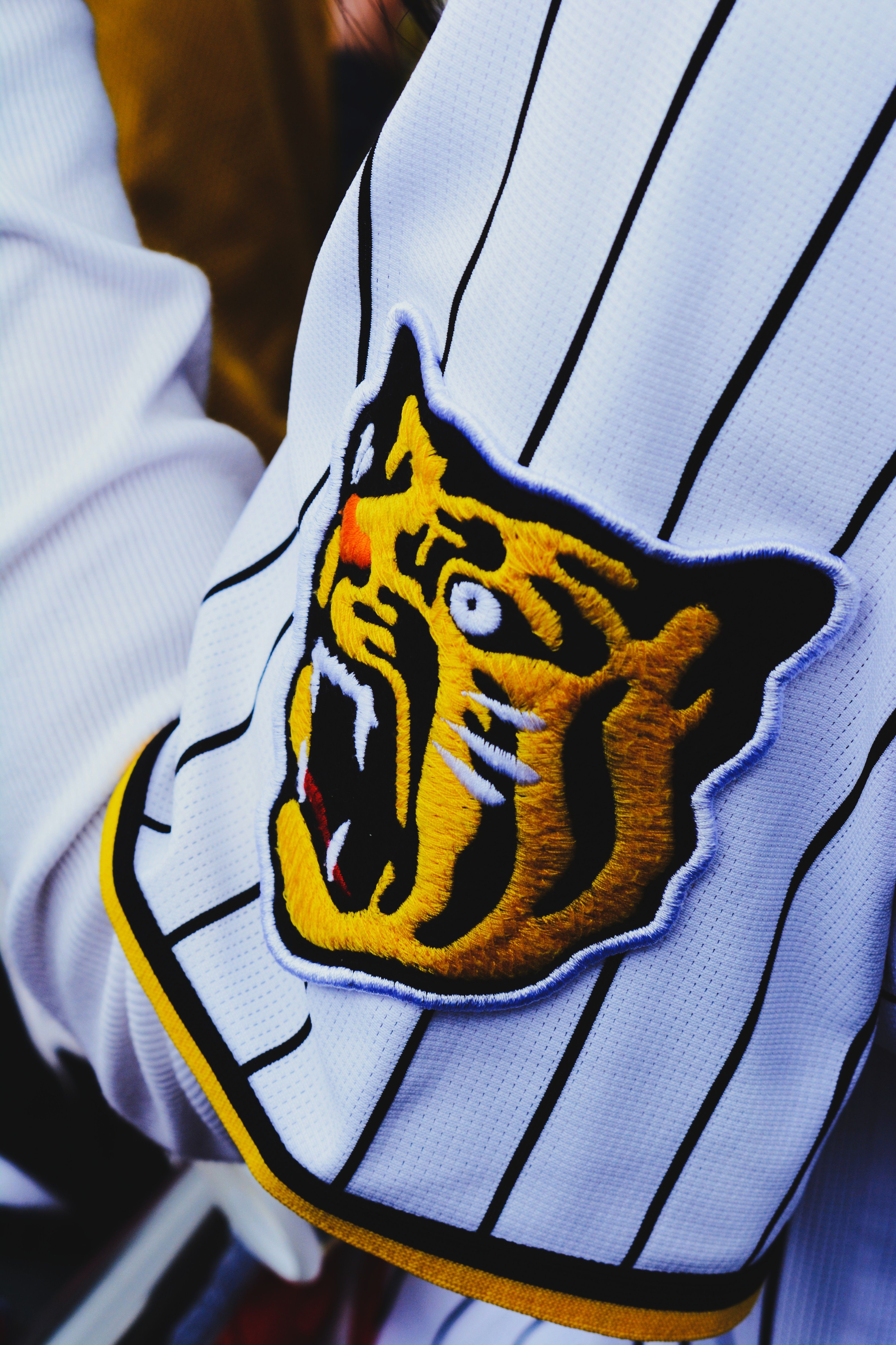 Tiger Graphics Photos, Download The BEST Free Tiger Graphics Stock ...