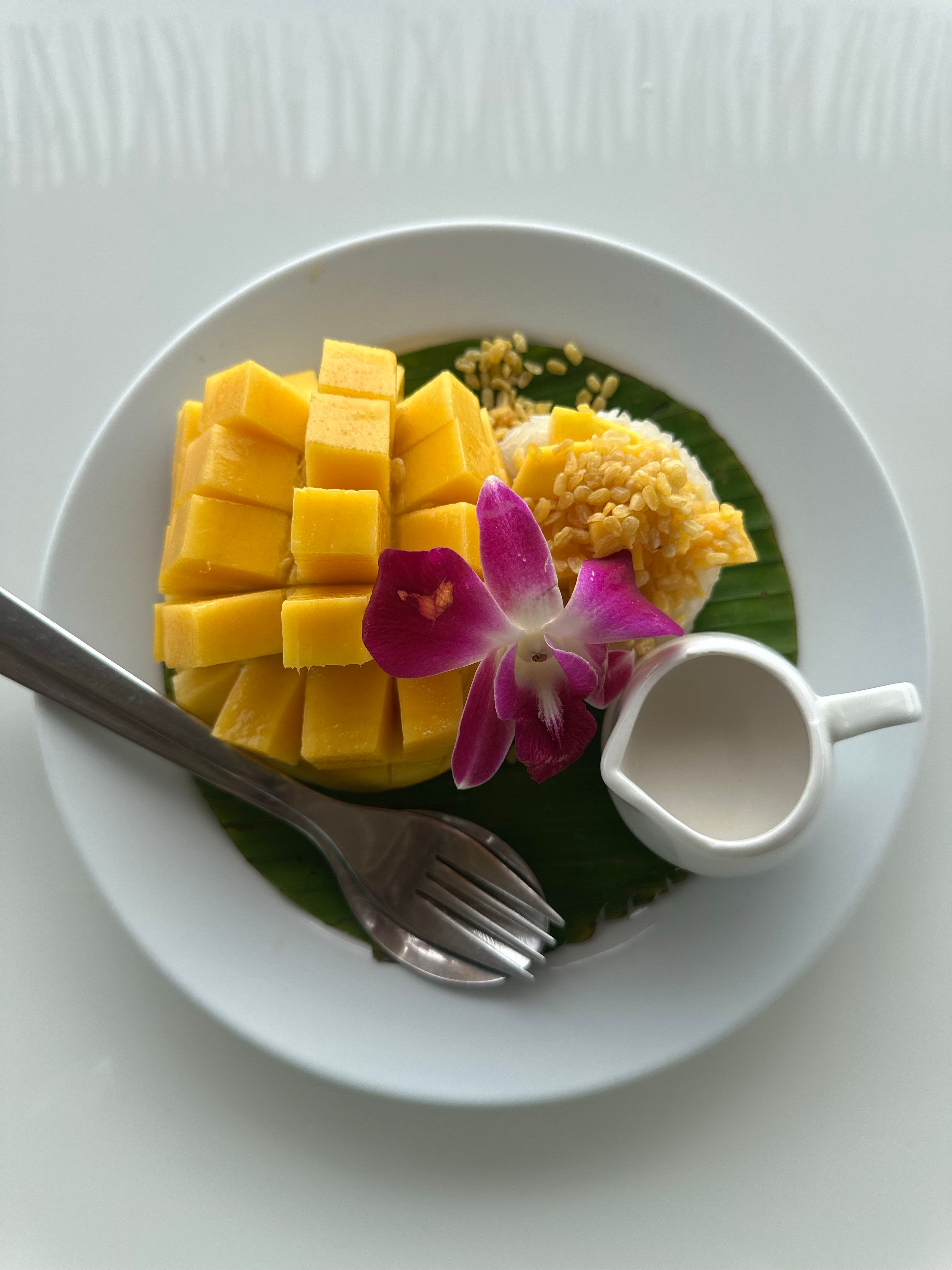 Mango Orchid Photos, Download The BEST Free Mango Orchid Stock Photos ...