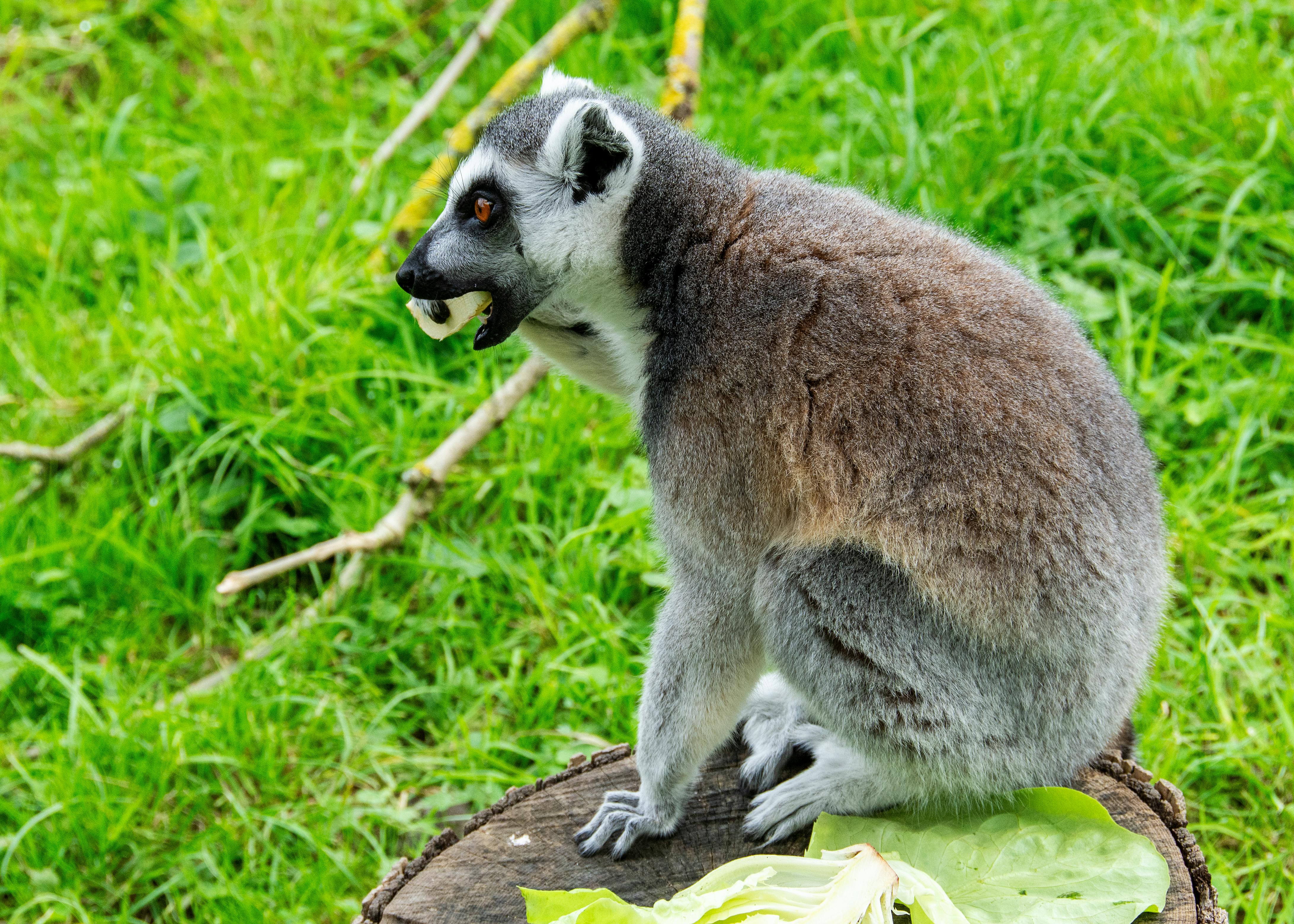 Behavior Photos, Download The BEST Free Behavior Stock Photos & HD Images