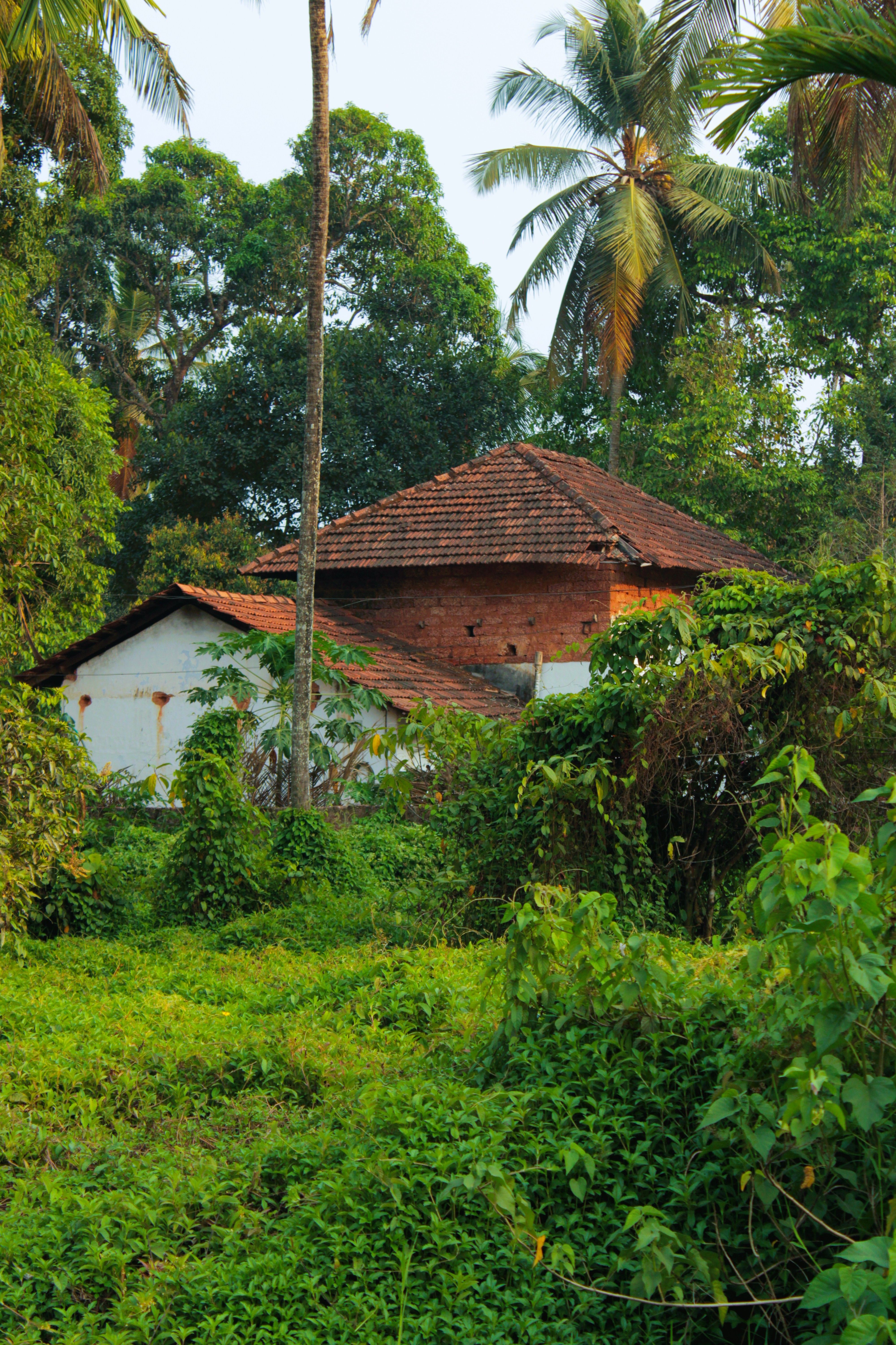 Puducherry In Kerala Photos, Download The BEST Free Puducherry In ...