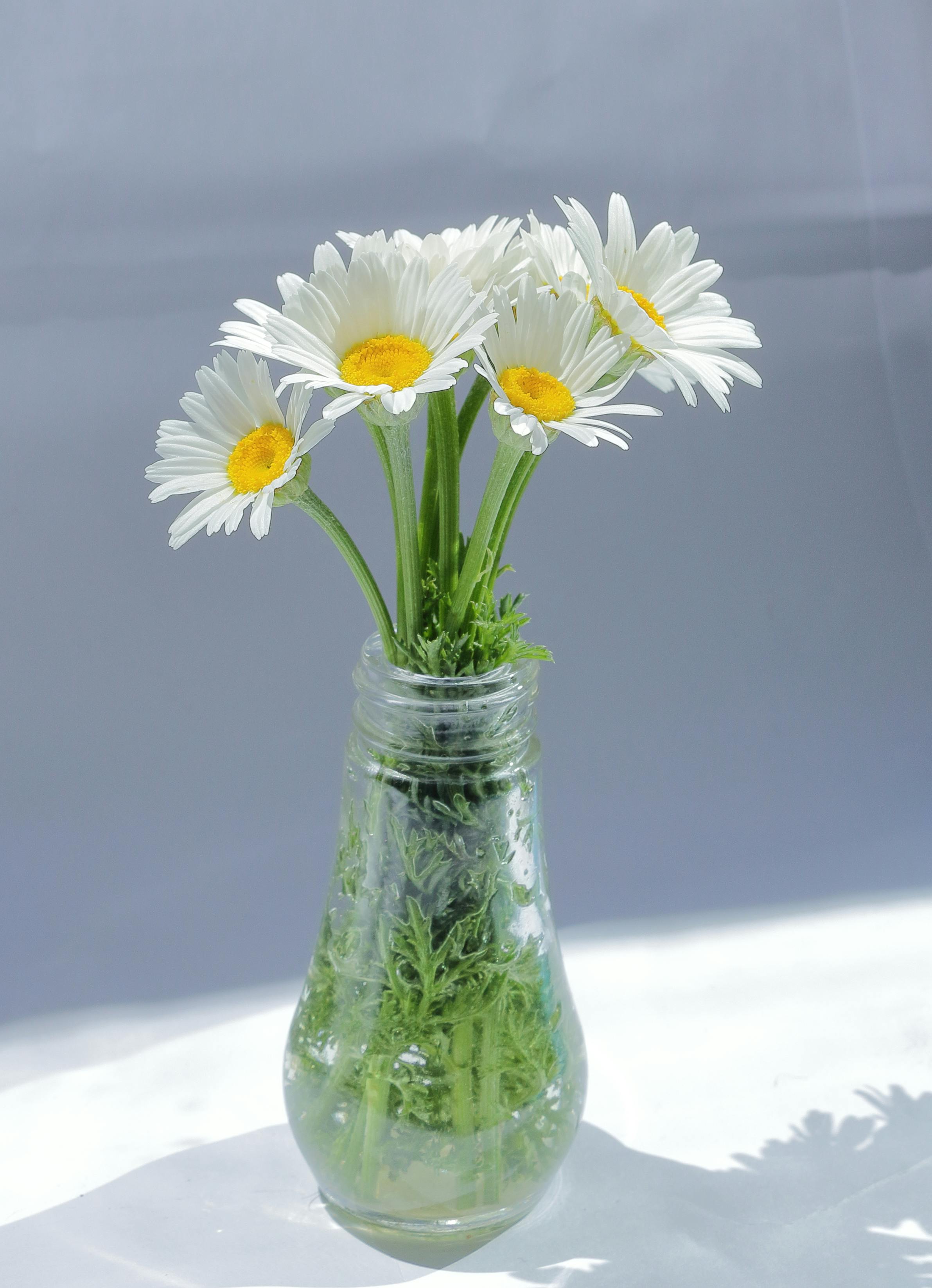 Proffessional Uplifting Photos, Download The BEST Free Proffessional ...