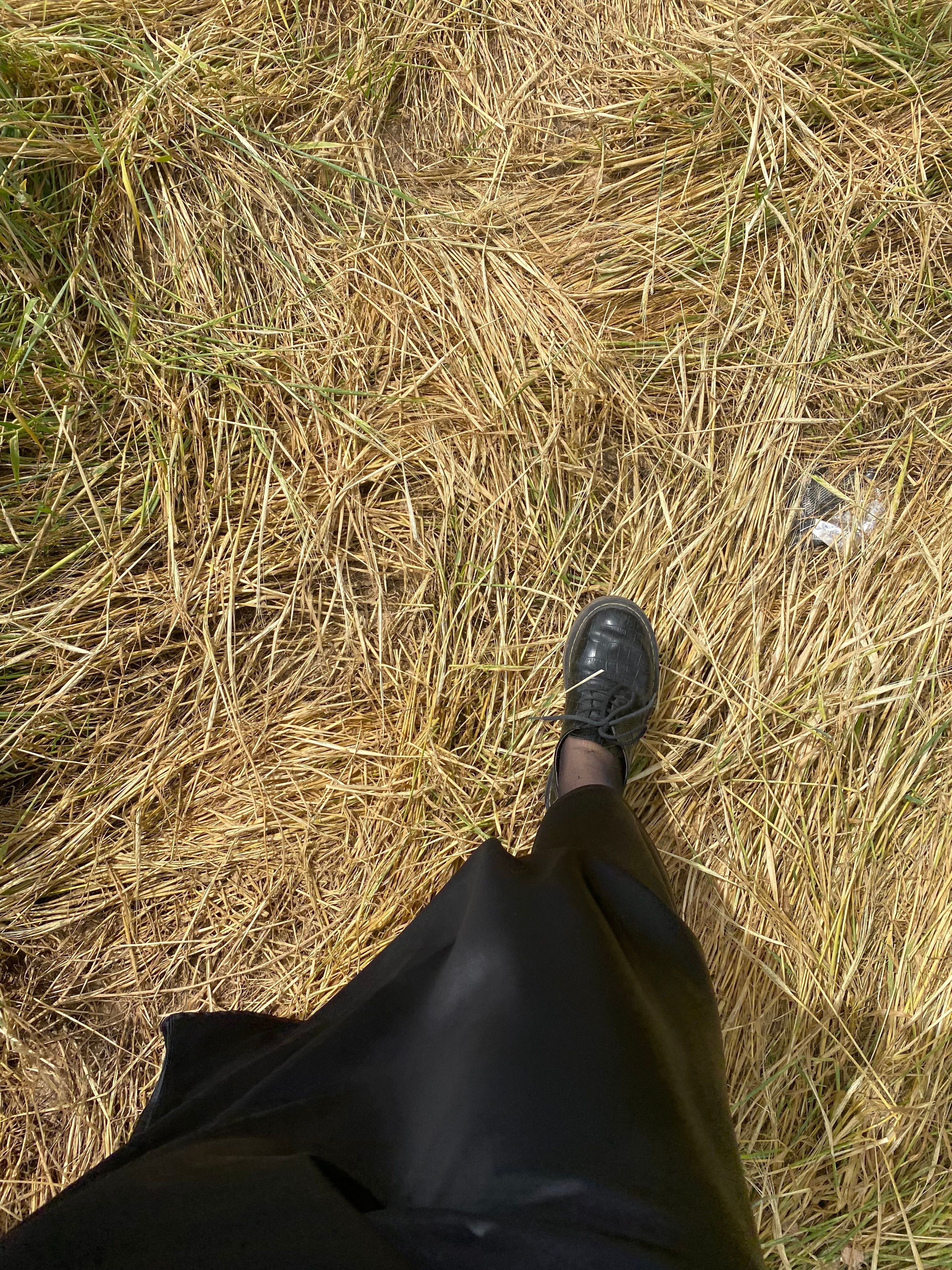 Walking on Golden Hay Field from Above · Free Stock Photo
