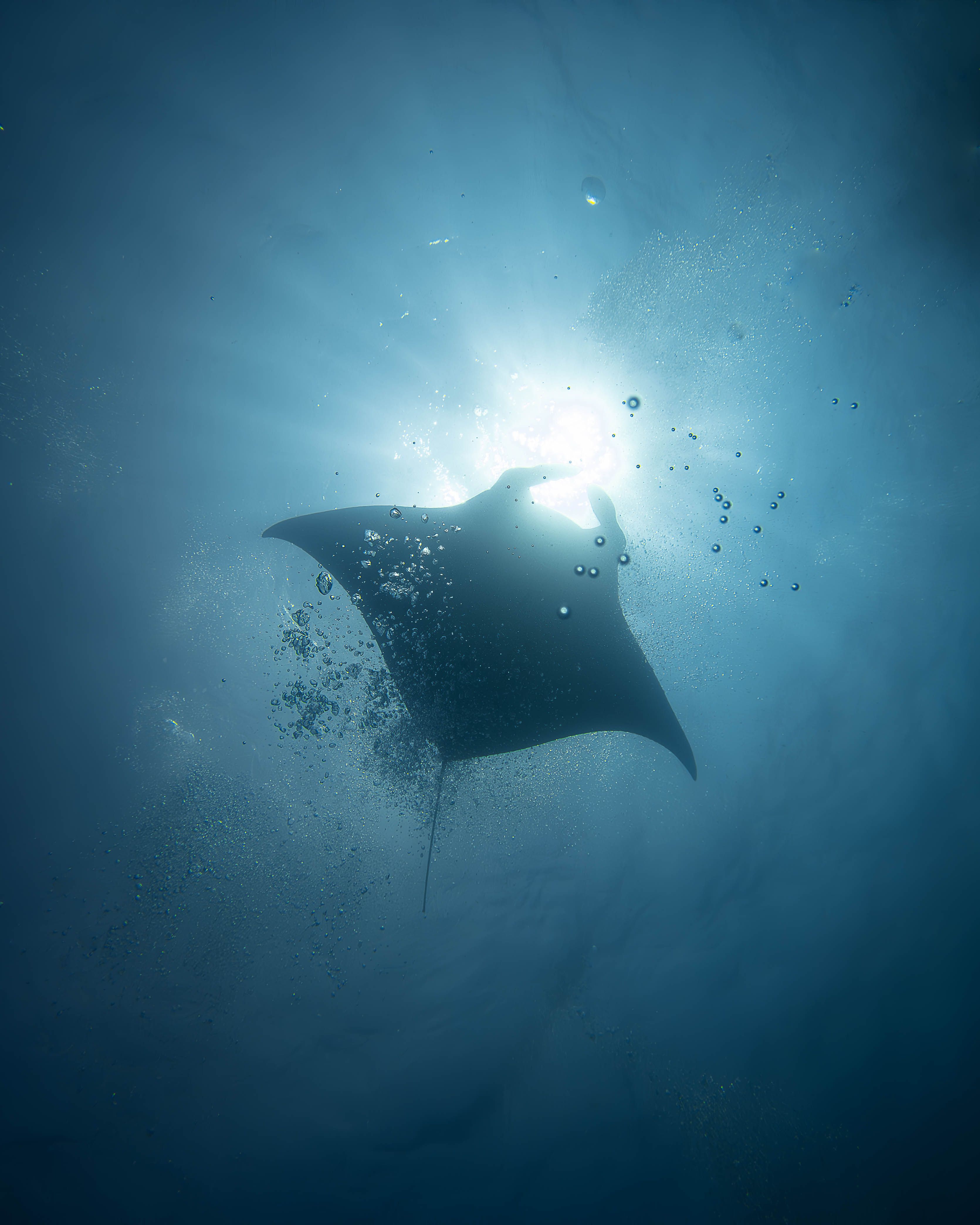 Rov+Underwater Photos, Download The BEST Free Rov+Underwater Stock ...