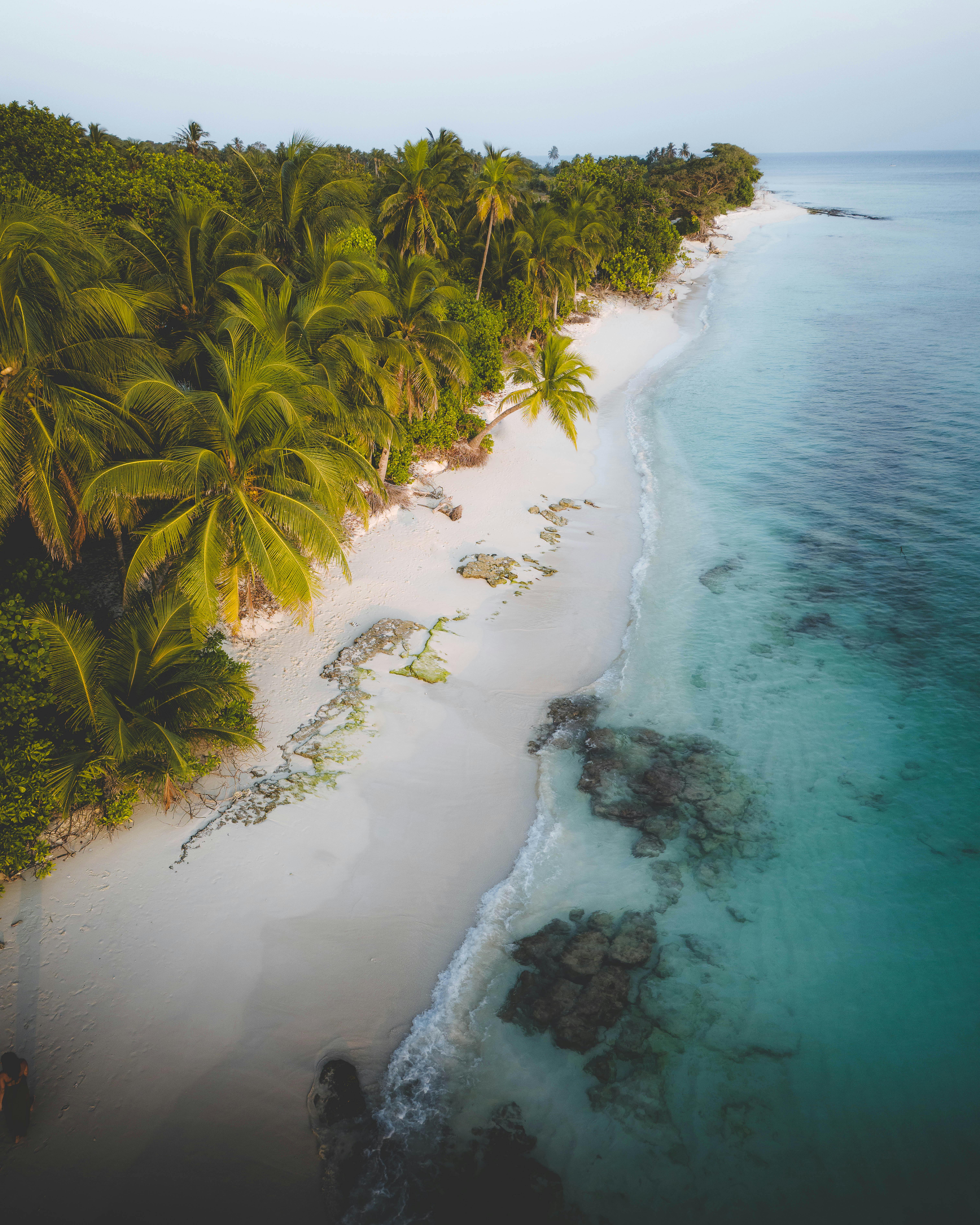 Nature Pfp Photos, Download The BEST Free Nature Pfp Stock Photos & HD ...