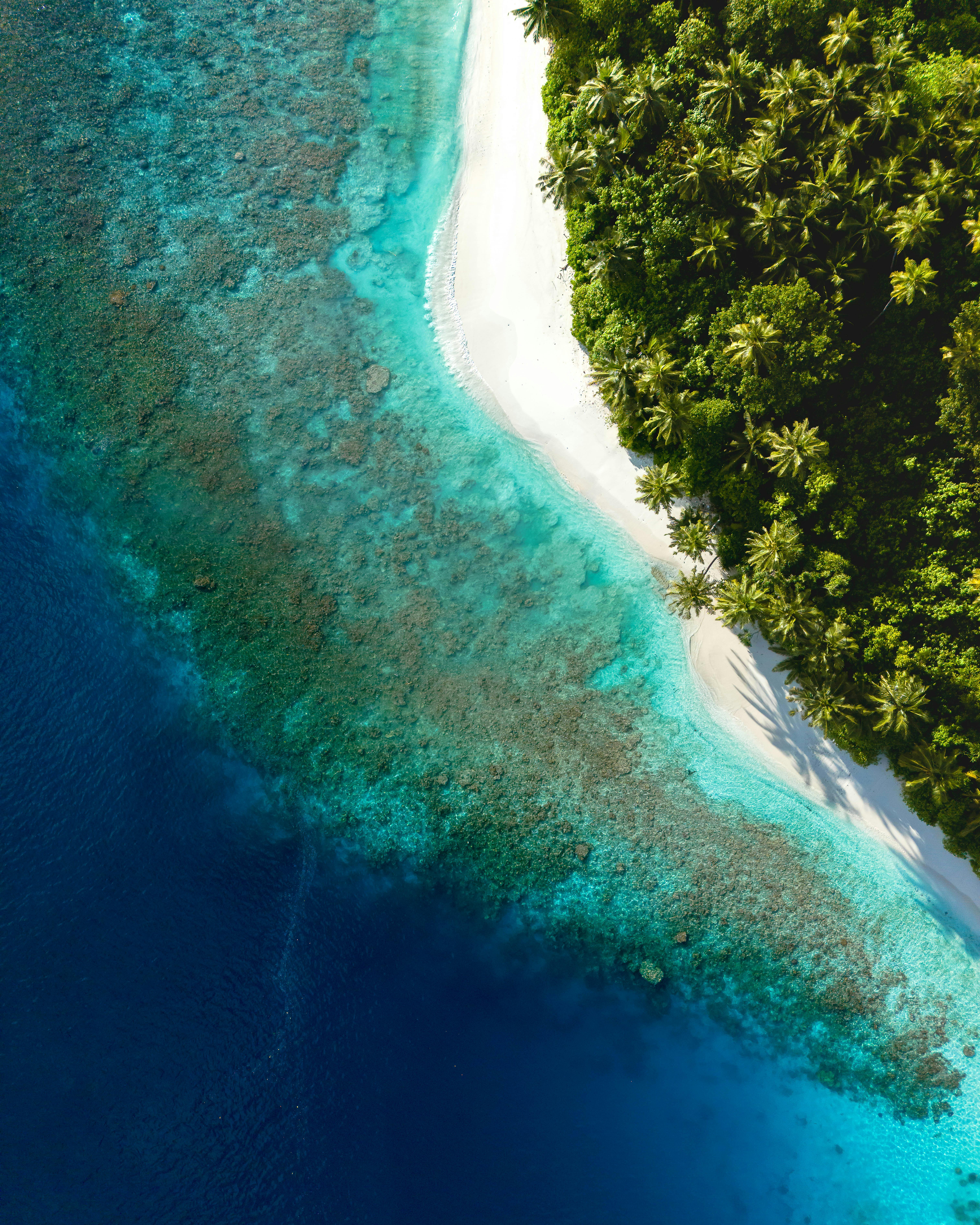 Bare+Butts+On+The+Beach Photos, Download The BEST Free Bare+Butts+On ...