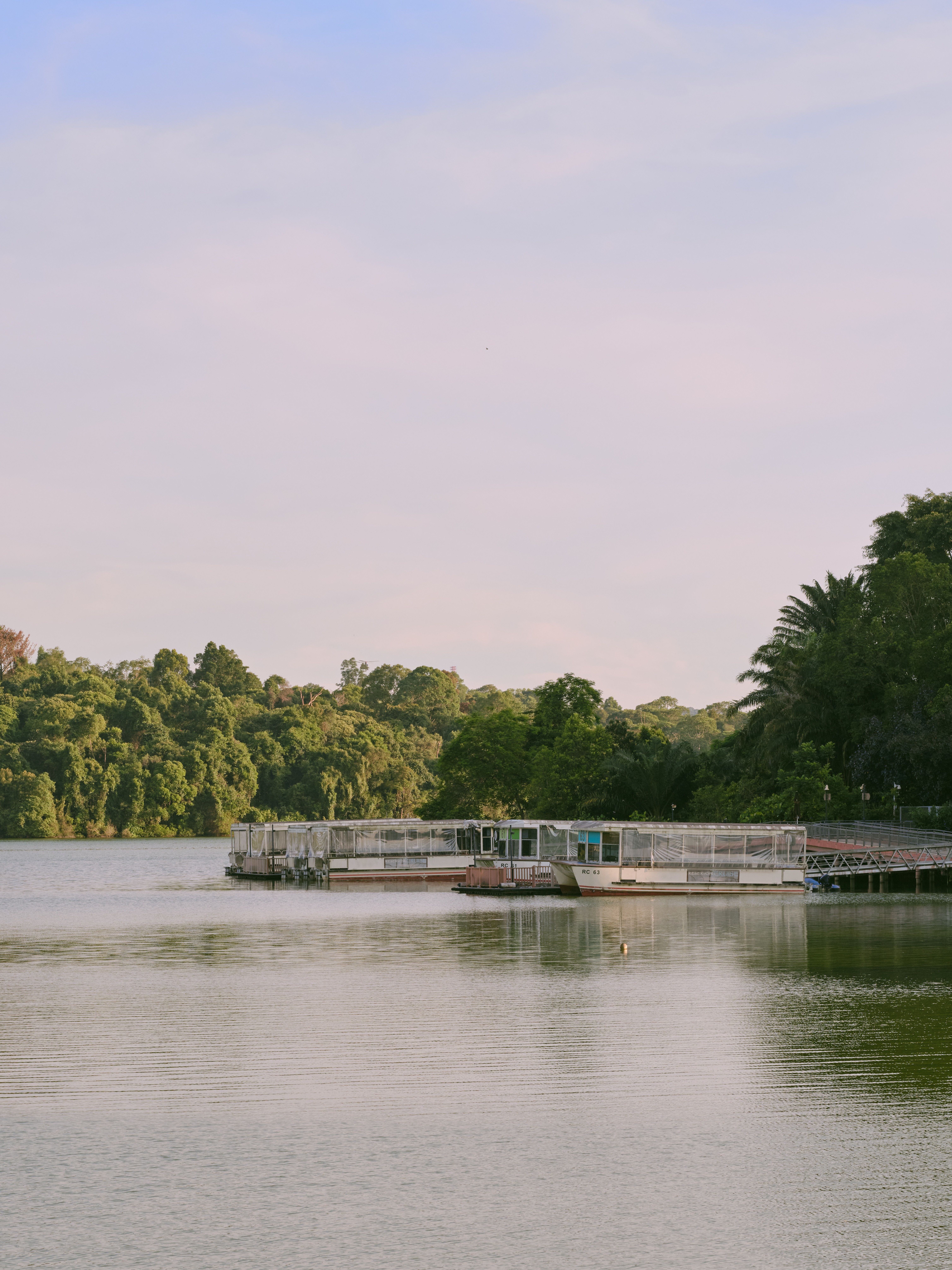 Serene View of Floating Platform on MacRitchie Reservoir · Free Stock Photo