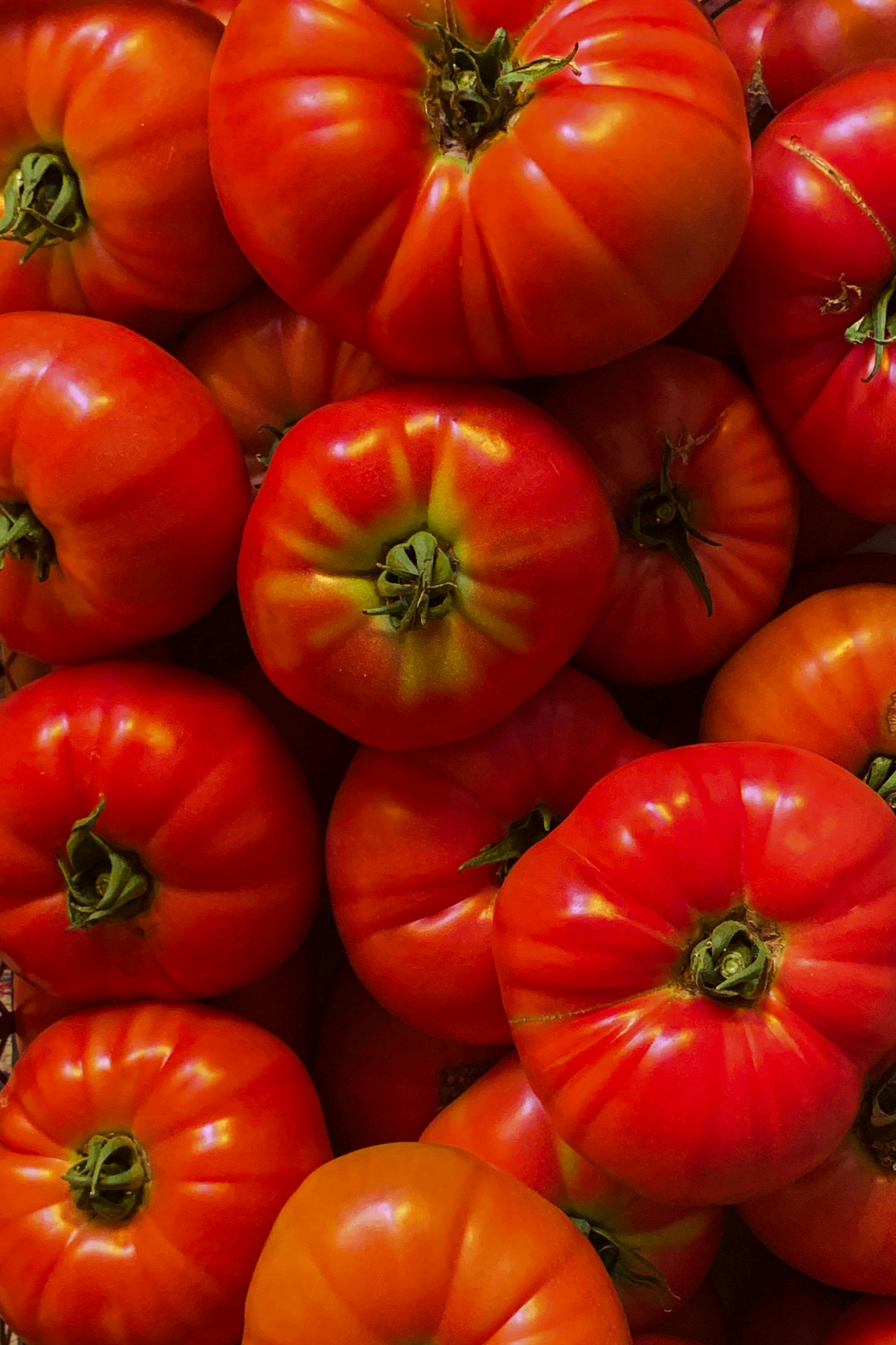 Close-up of Tomatoes on Wooden Table · Free Stock Photo