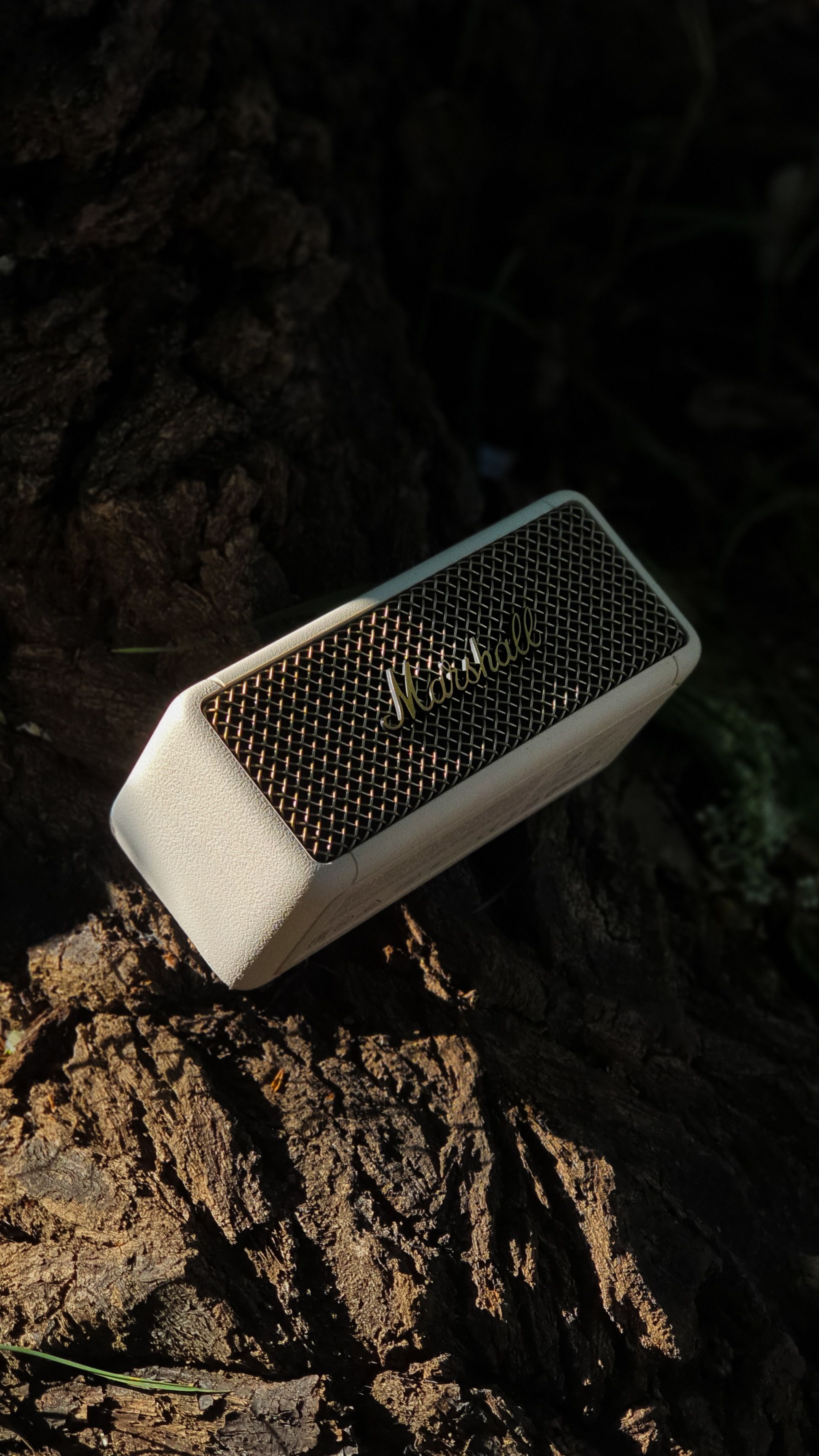 Portable Bluetooth Speaker on Tree Bark · Free Stock Photo