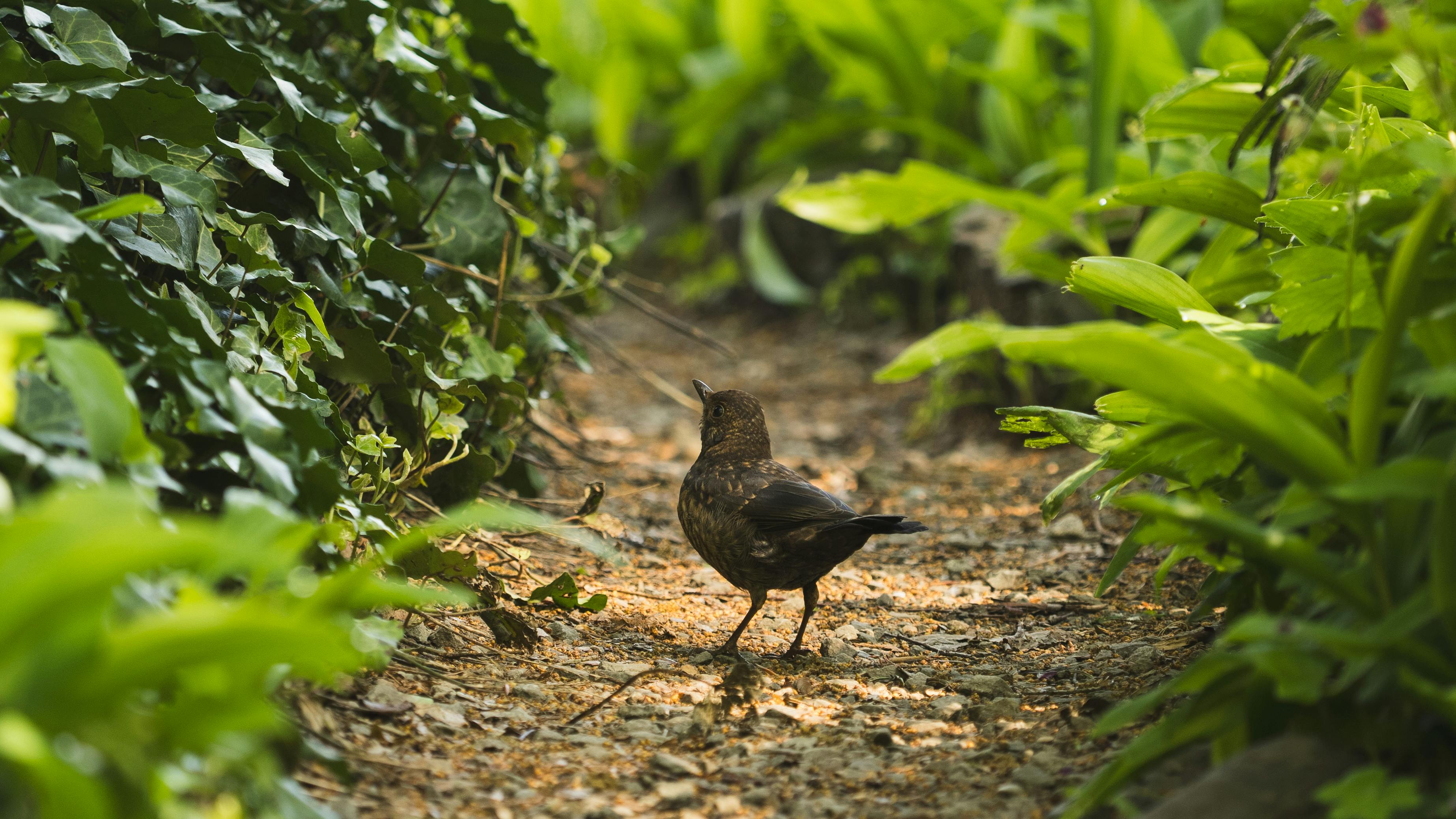 Free Non Copyrighted Photos, Download The BEST Free Free Non ...