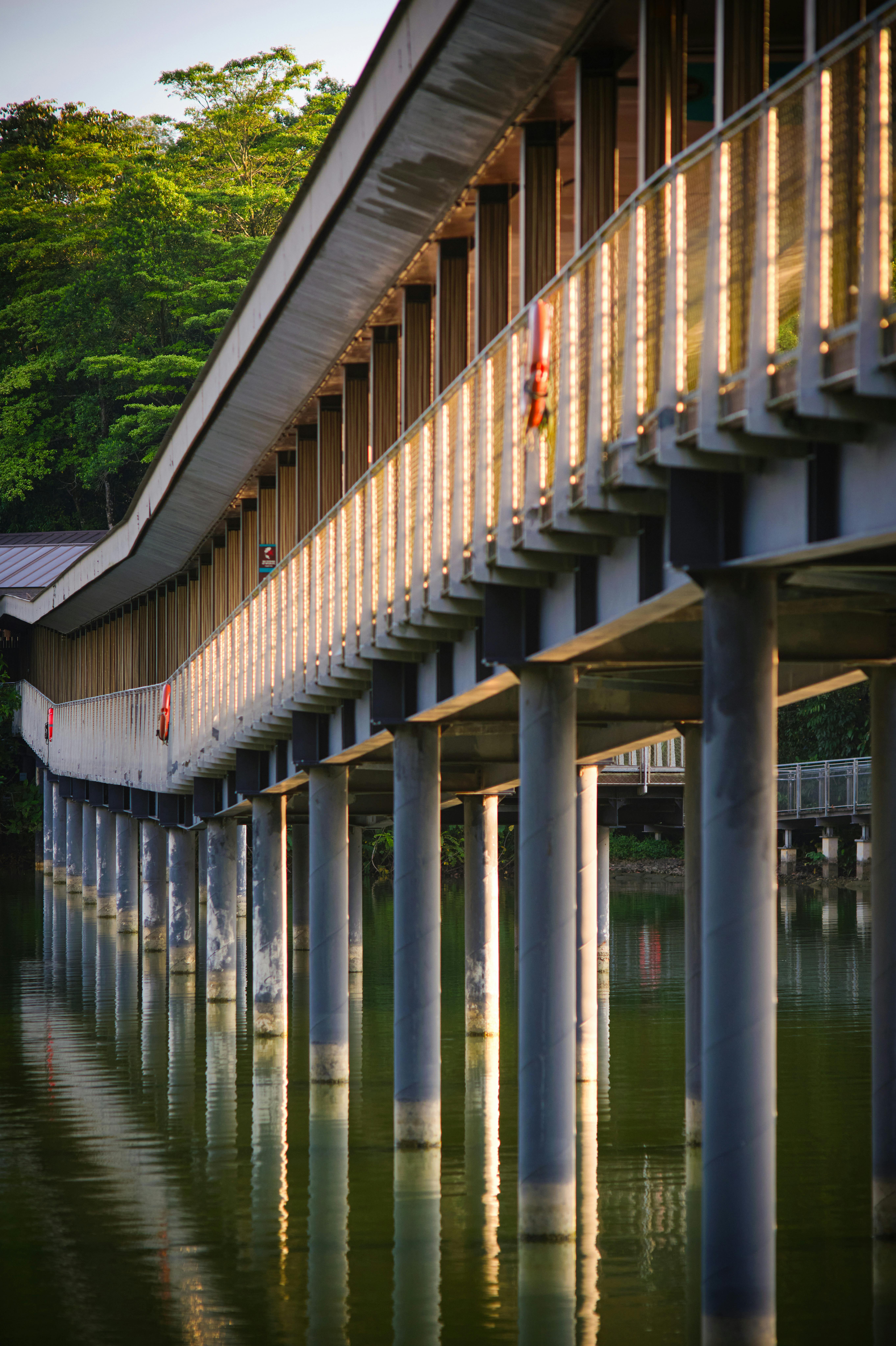 Connecting Pathway Photos, Download The BEST Free Connecting Pathway ...