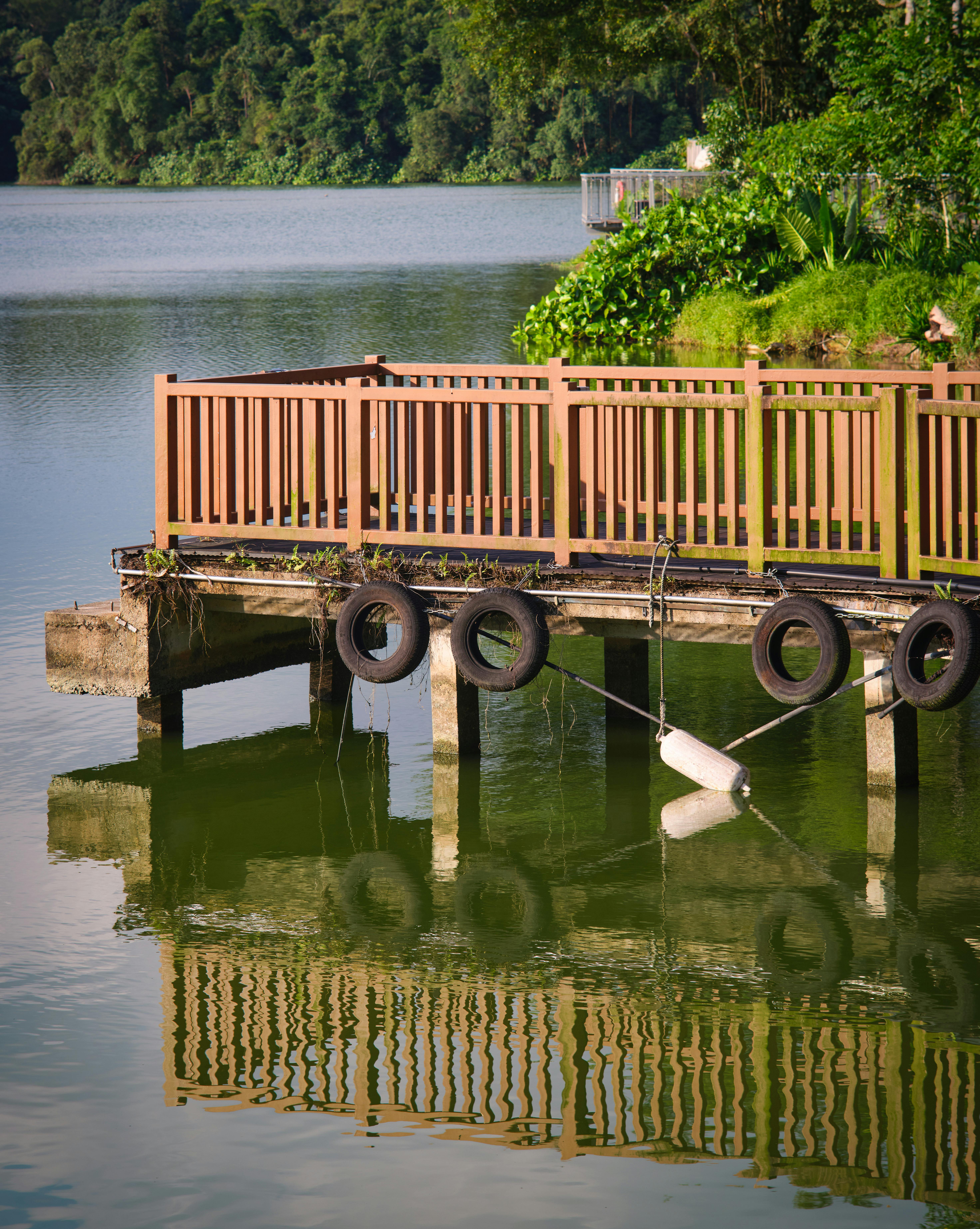 Serene Lakeside Pier with Wooden Fence · Free Stock Photo