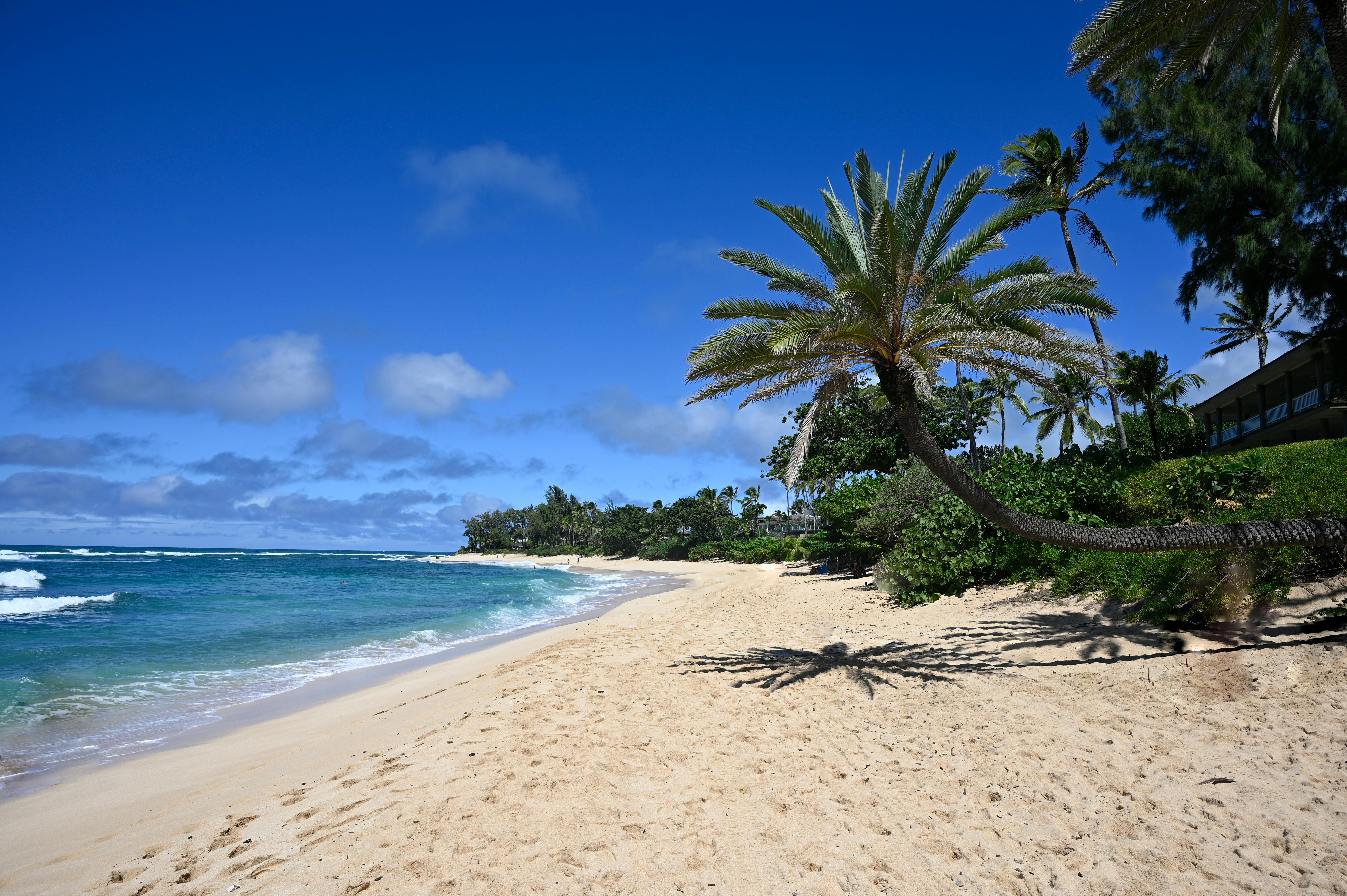 Thomas Dudek - 사진