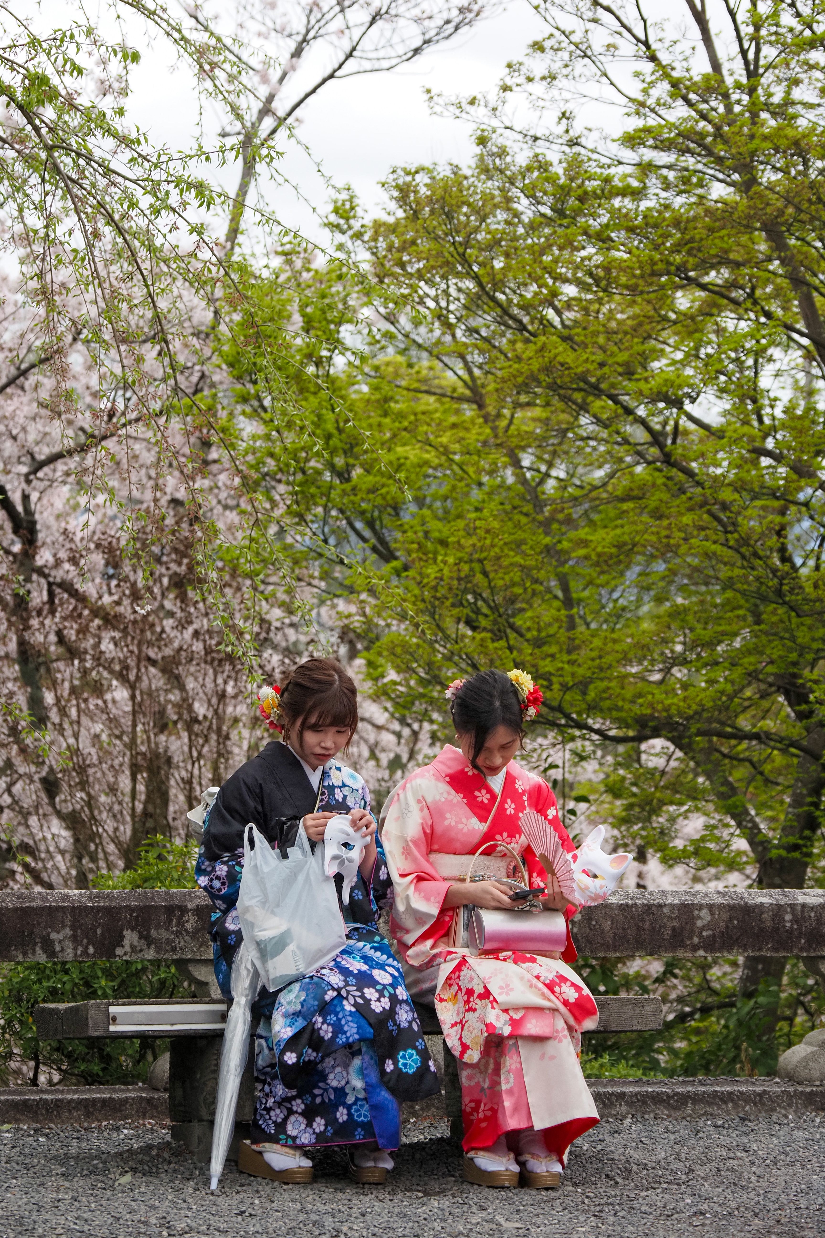 Women in Kimonos Enjoying Spring in Kyoto · Free Stock Photo