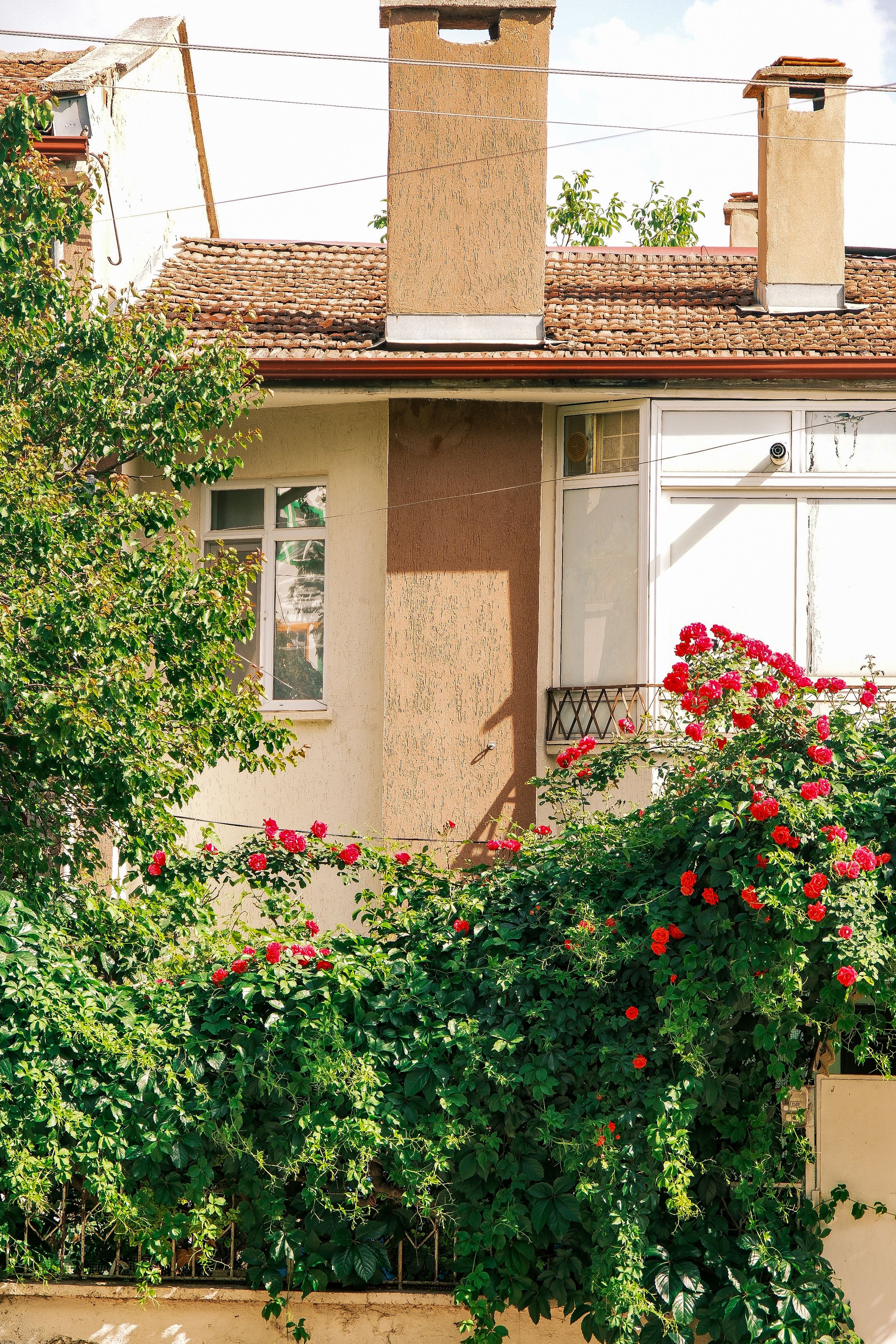 House Window Photos, Download The BEST Free House Window Stock Photos ...