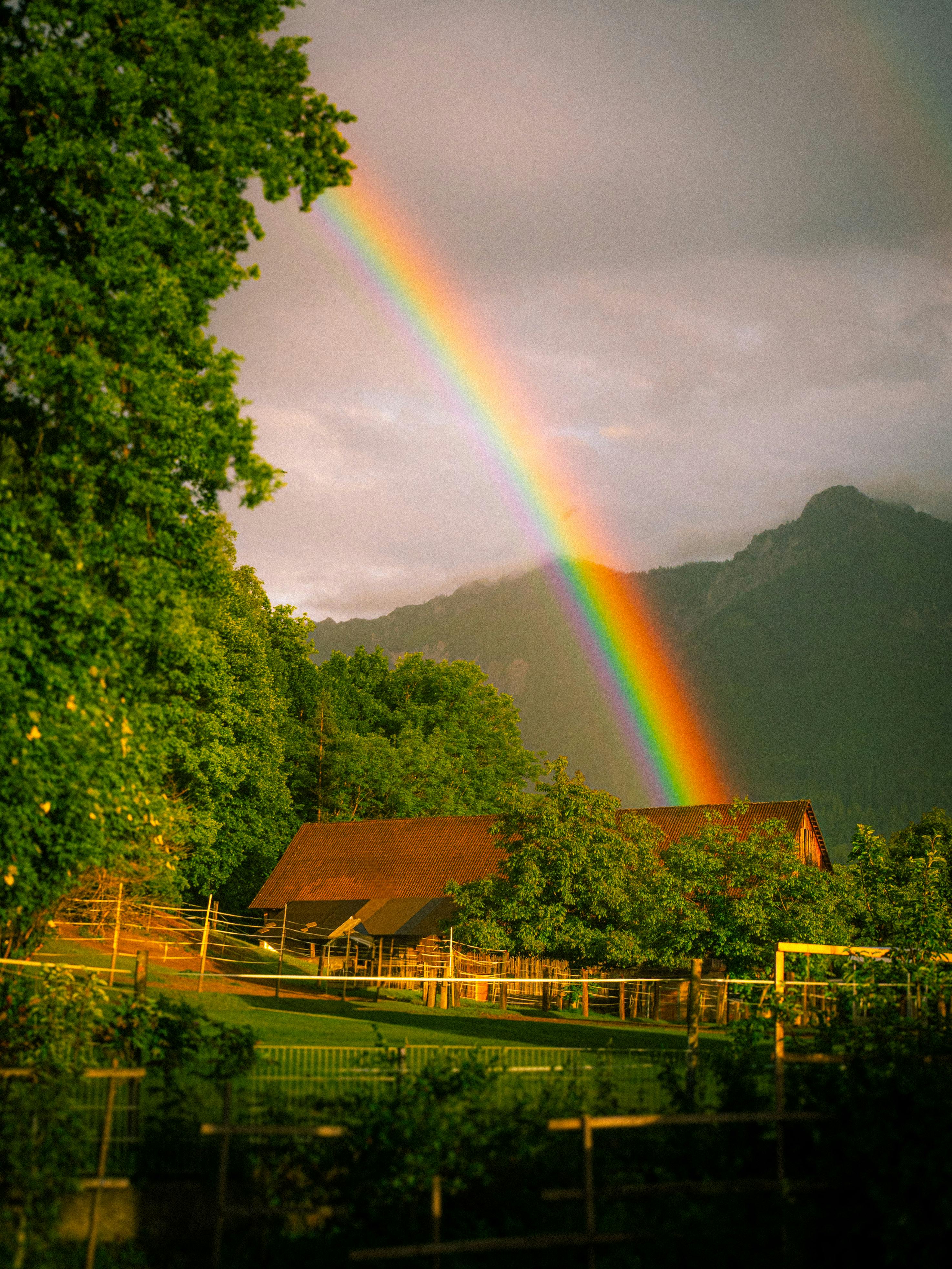 Neeraj+Pepsu+Wallpaper Photos, Download The BEST Free Neeraj+Pepsu ...