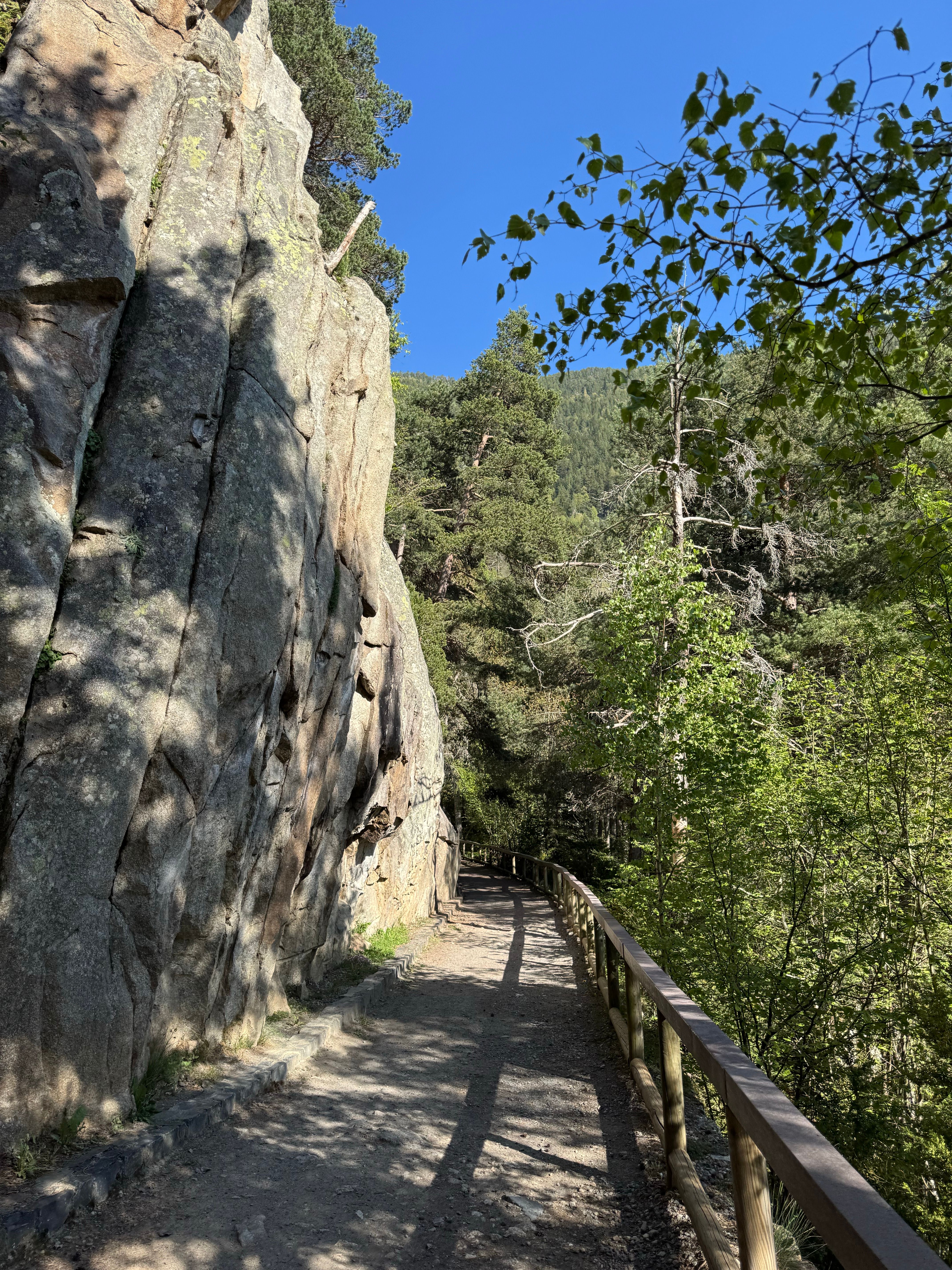 Scenic Mountain Trail with Rock Cliff and Forest View · Free Stock Photo