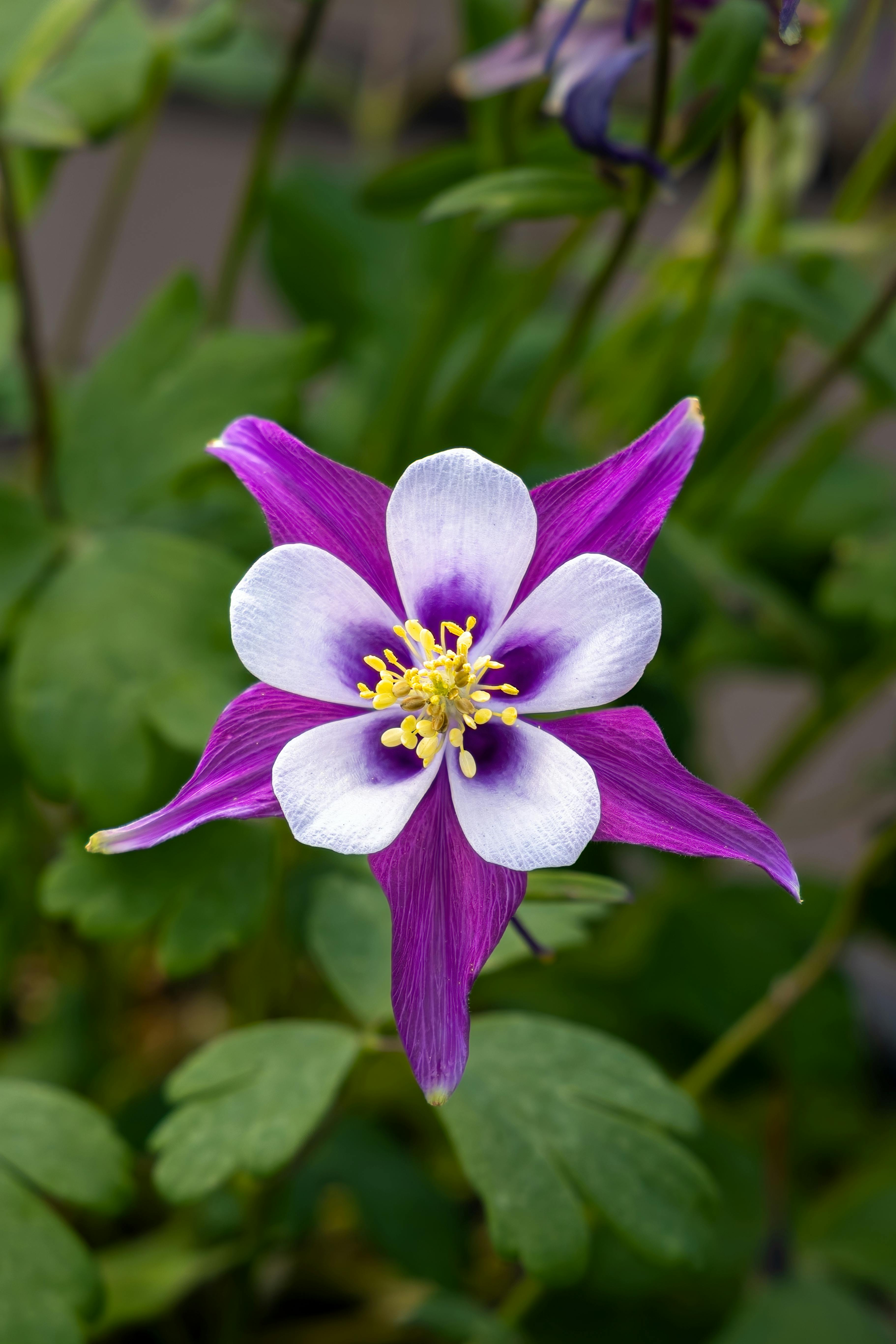 Ias Wallpaper Upsc Photos, Download The BEST Free Ias Wallpaper Upsc ...