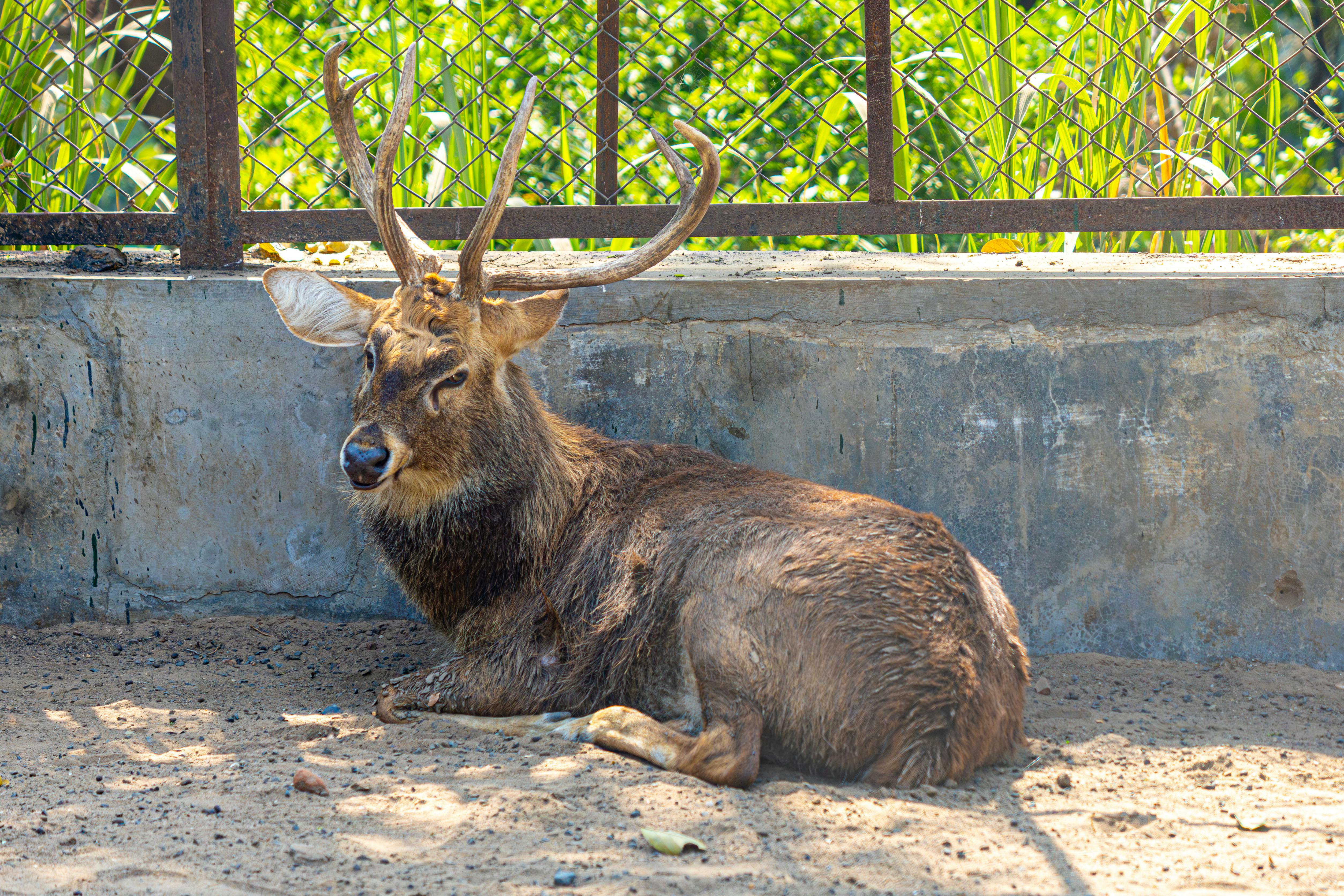 Xxx+Rusas Photos, Download The BEST Free Xxx+Rusas Stock Photos & HD Images