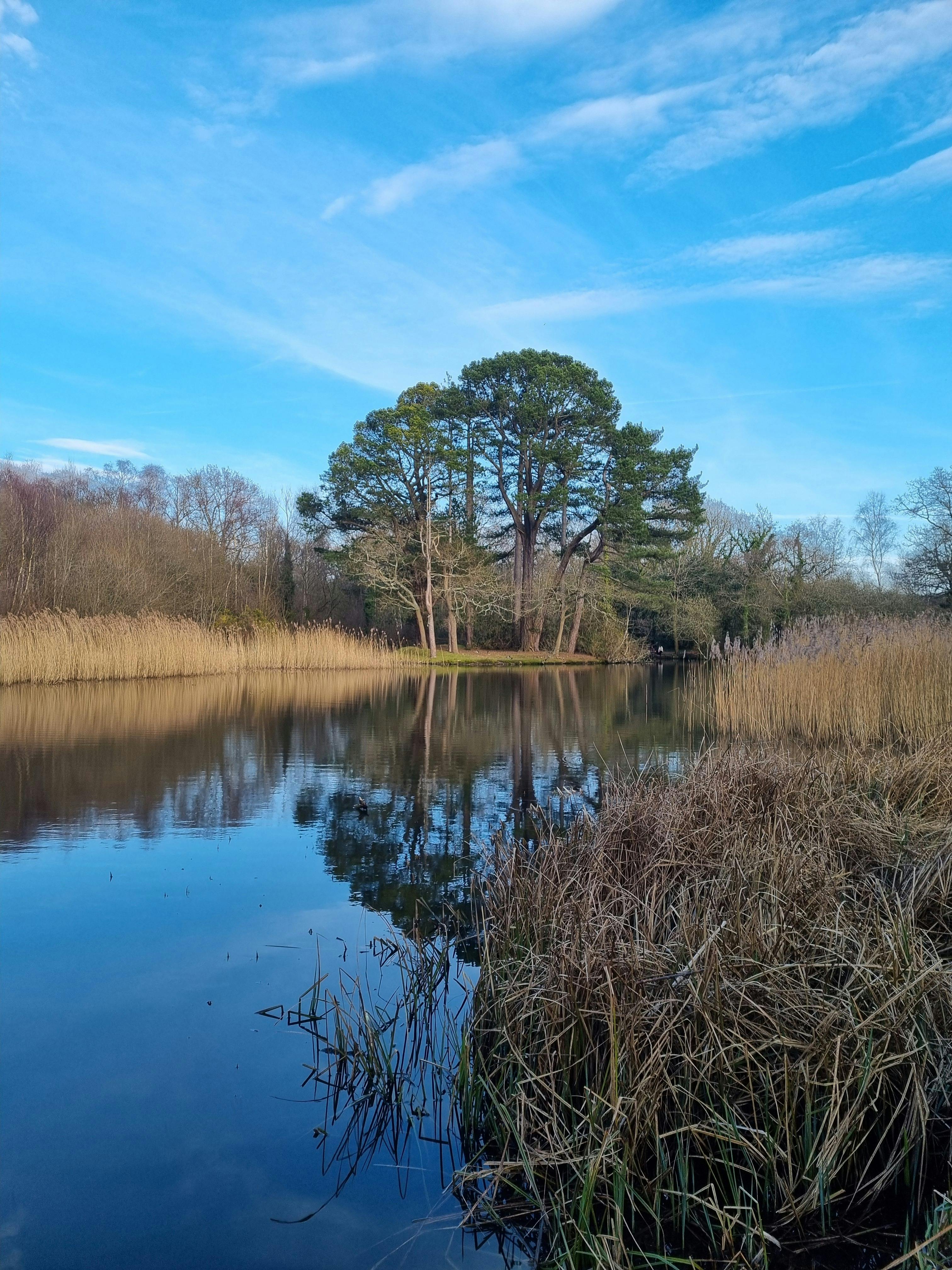 Conservation Photos, Download The BEST Free Conservation Stock Photos ...