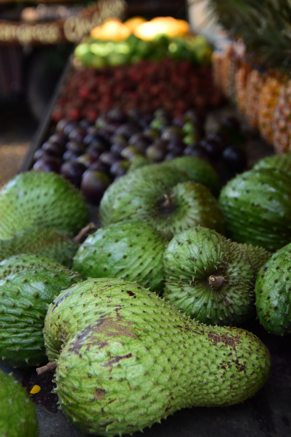 Soursop Fruit Photos, Download The BEST Free Soursop Fruit Stock Photos ...