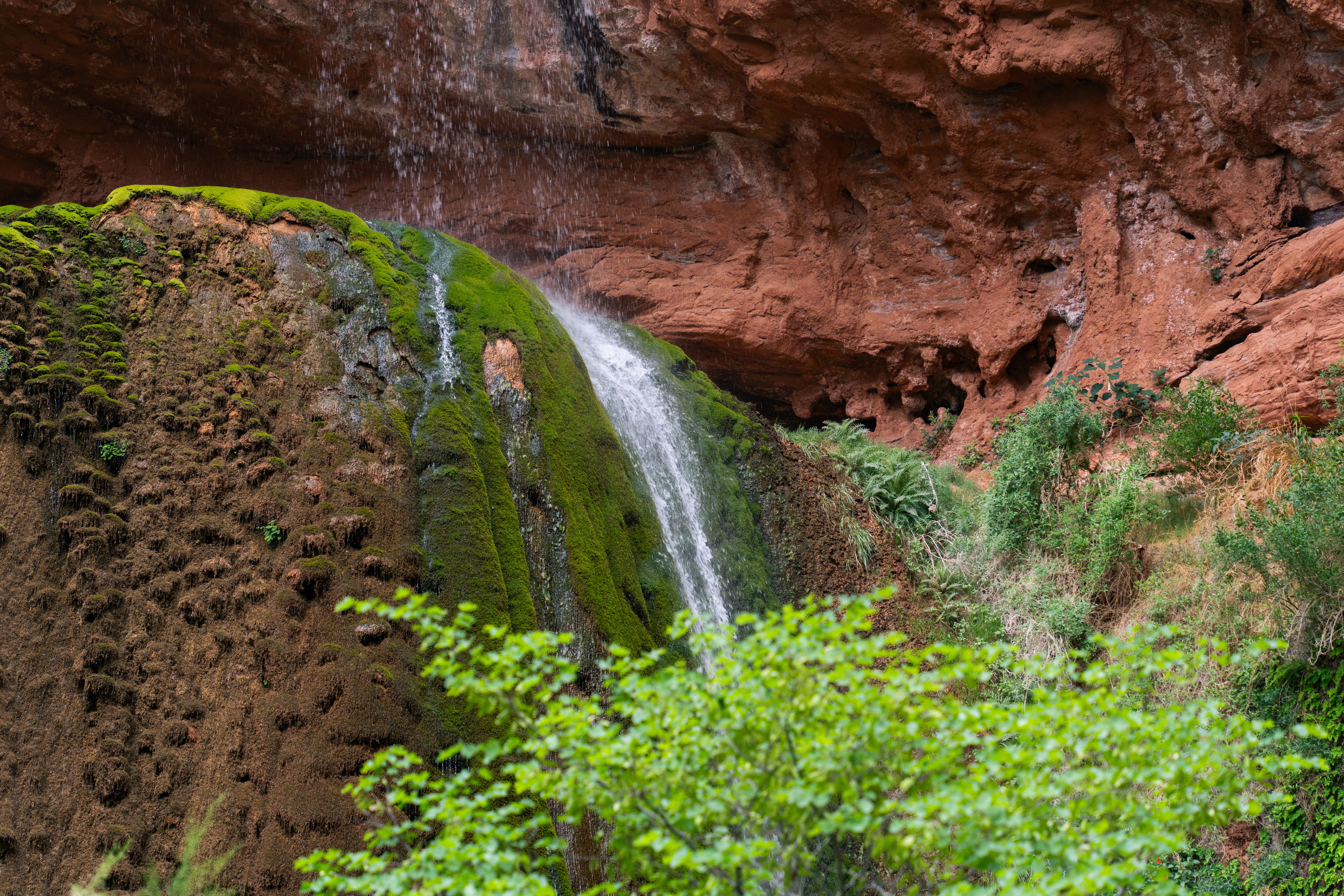 Lush Waterfall in Grand Canyon's Ribbon Falls · Free Stock Photo