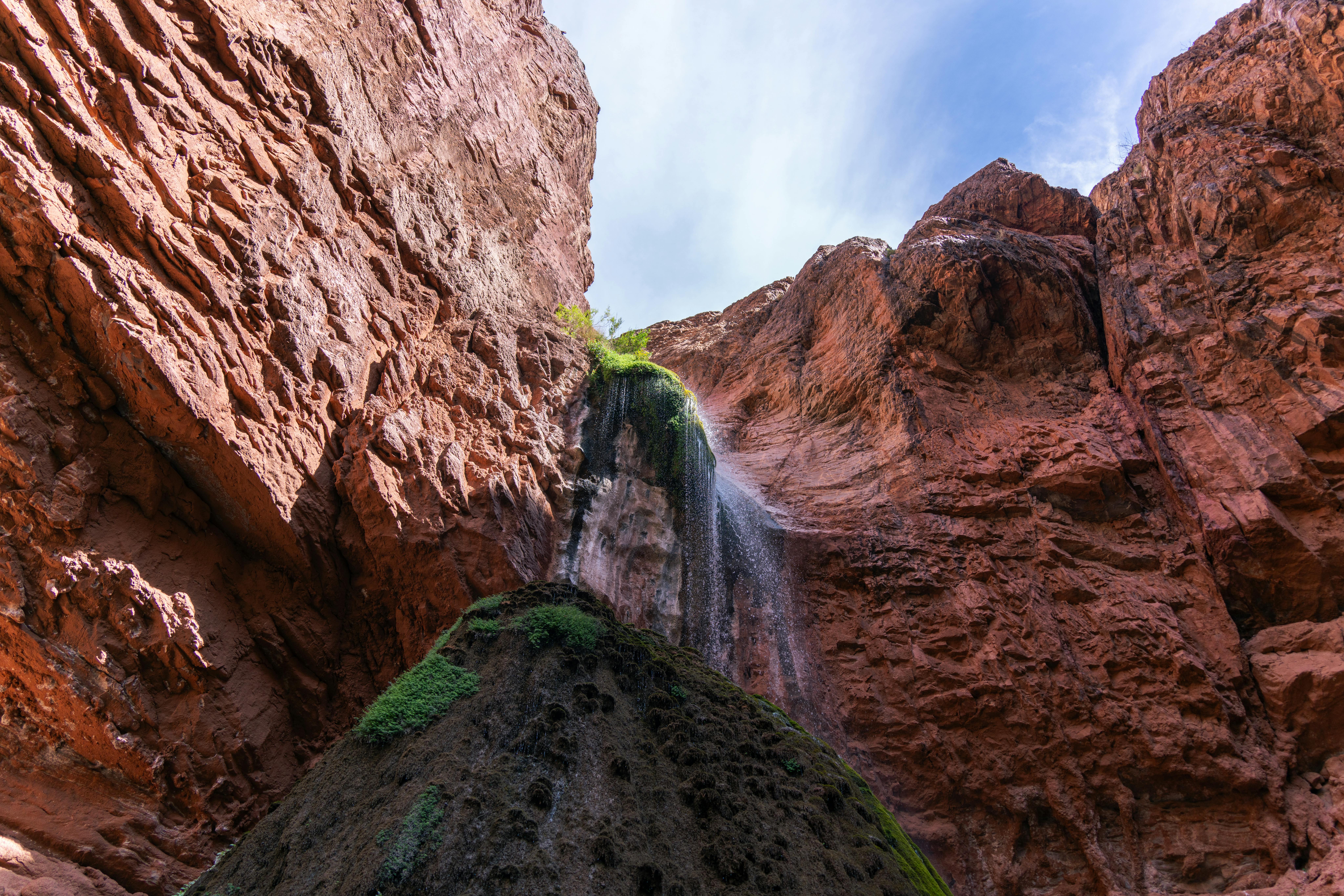 Ravin Farhangi Photos, Download The BEST Free Ravin Farhangi Stock ...