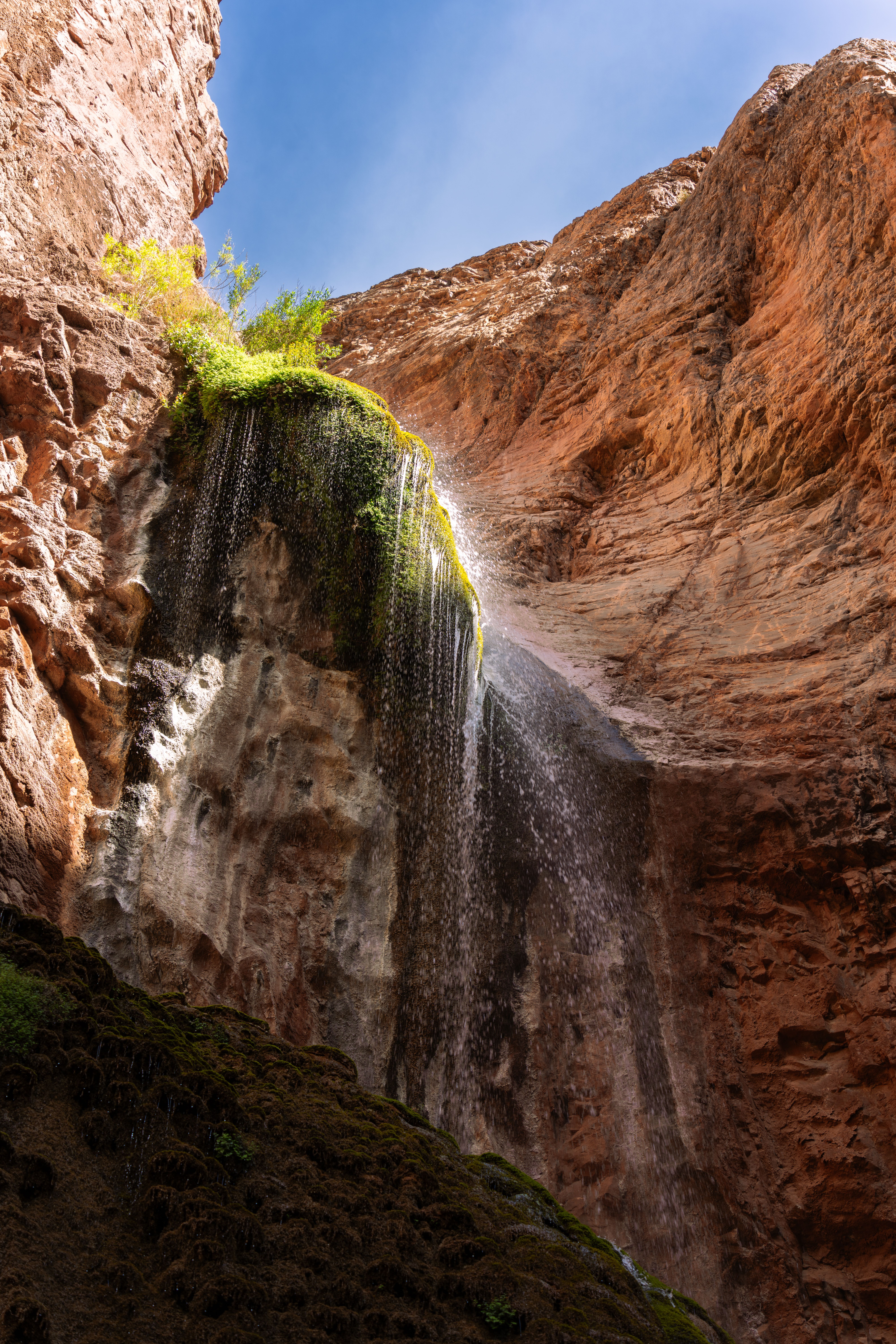 Stunning Waterfall at Grand Canyon's Ribbon Falls · Free Stock Photo