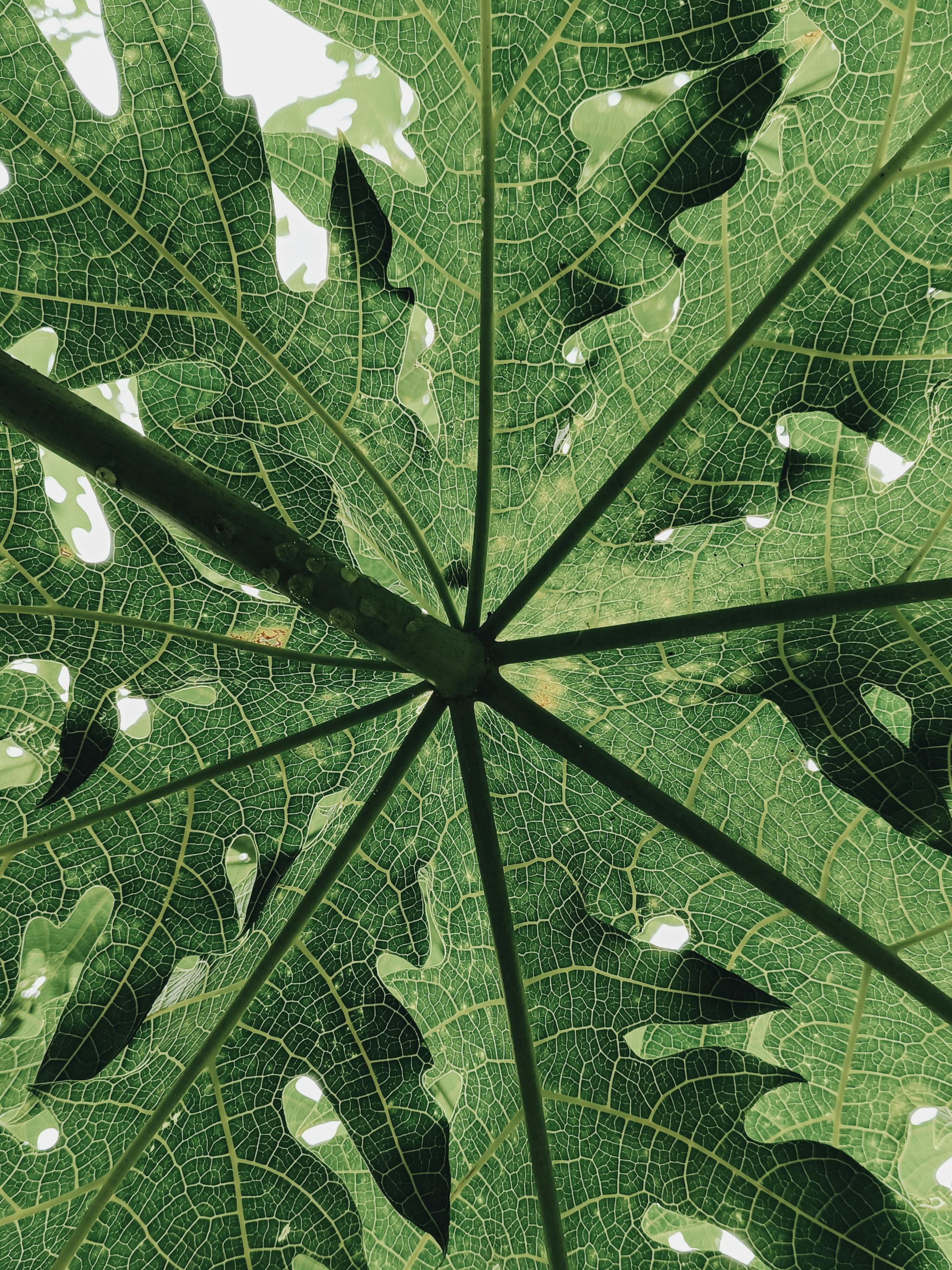 A3 Background Photos, Download The BEST Free A3 Background Stock Photos ...