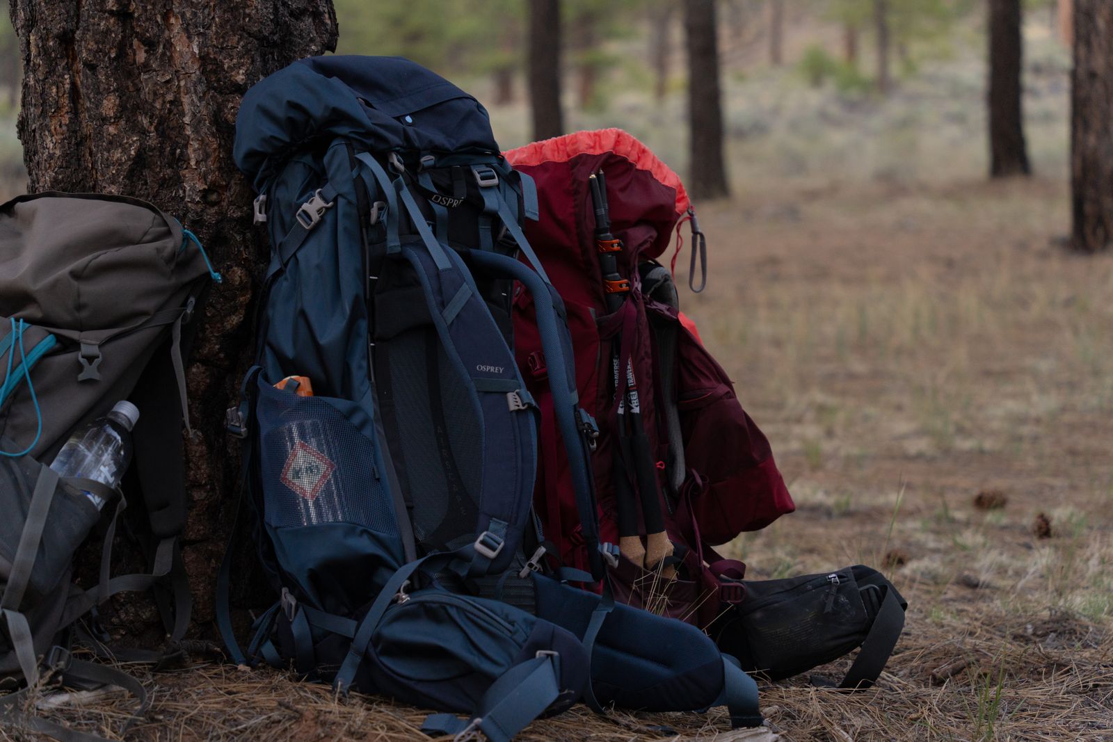 Backpacks Photos, Download The BEST Free Backpacks Stock Photos & HD Images