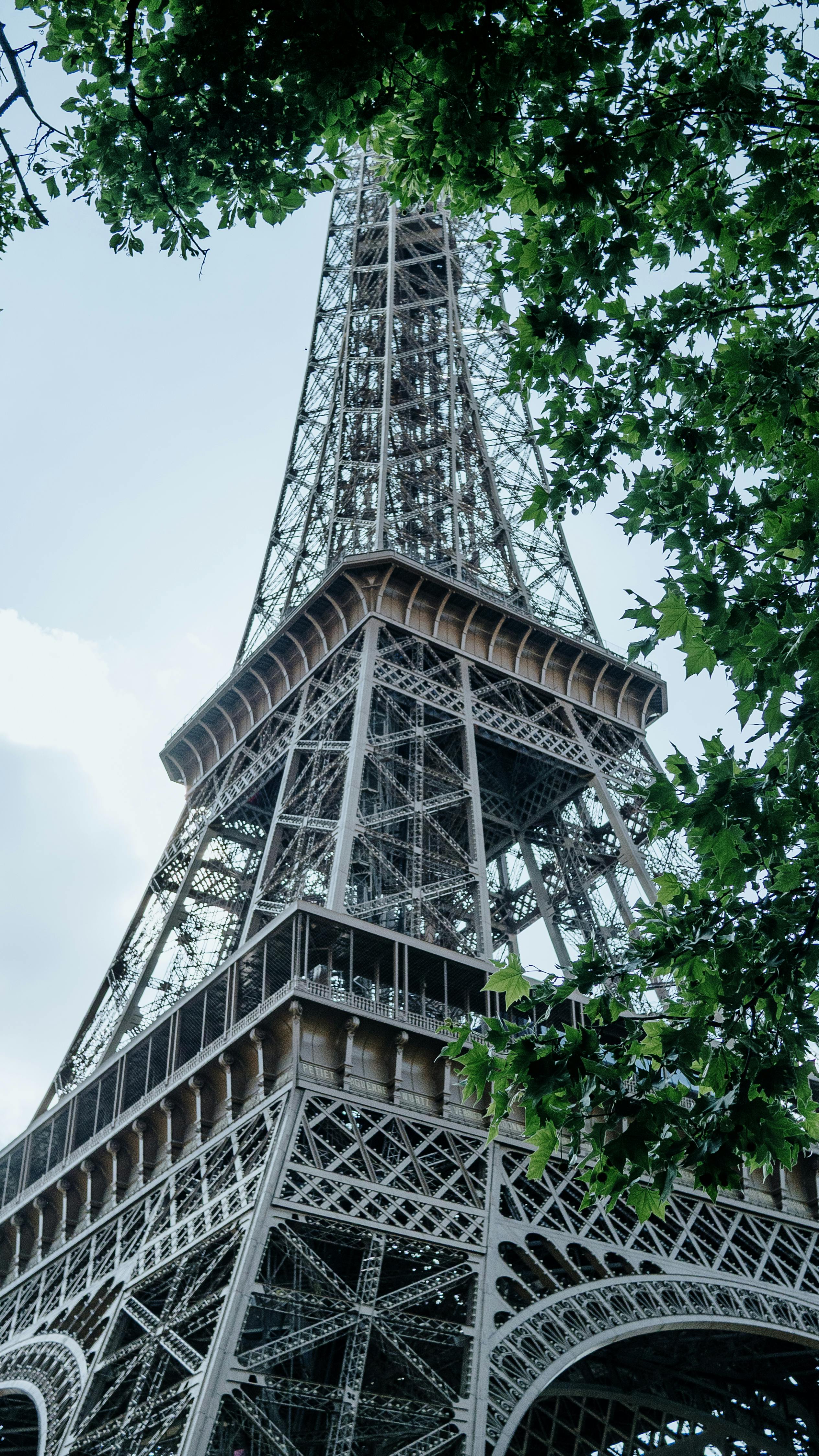 Eiffel Tower Framed by Tree Foliage in Paris · Free Stock Photo