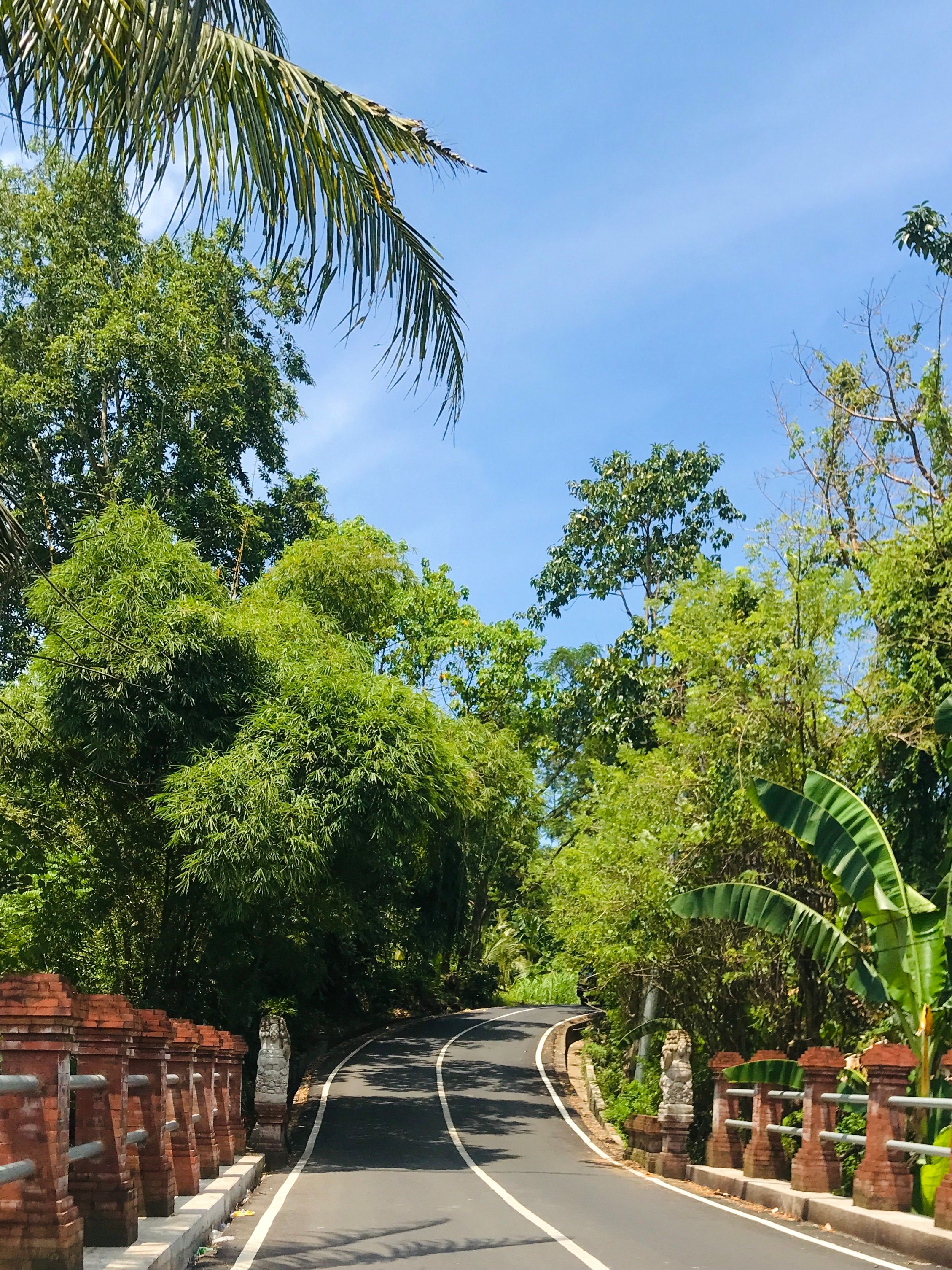 Scenic Road in Lush Bali Landscape · Free Stock Photo