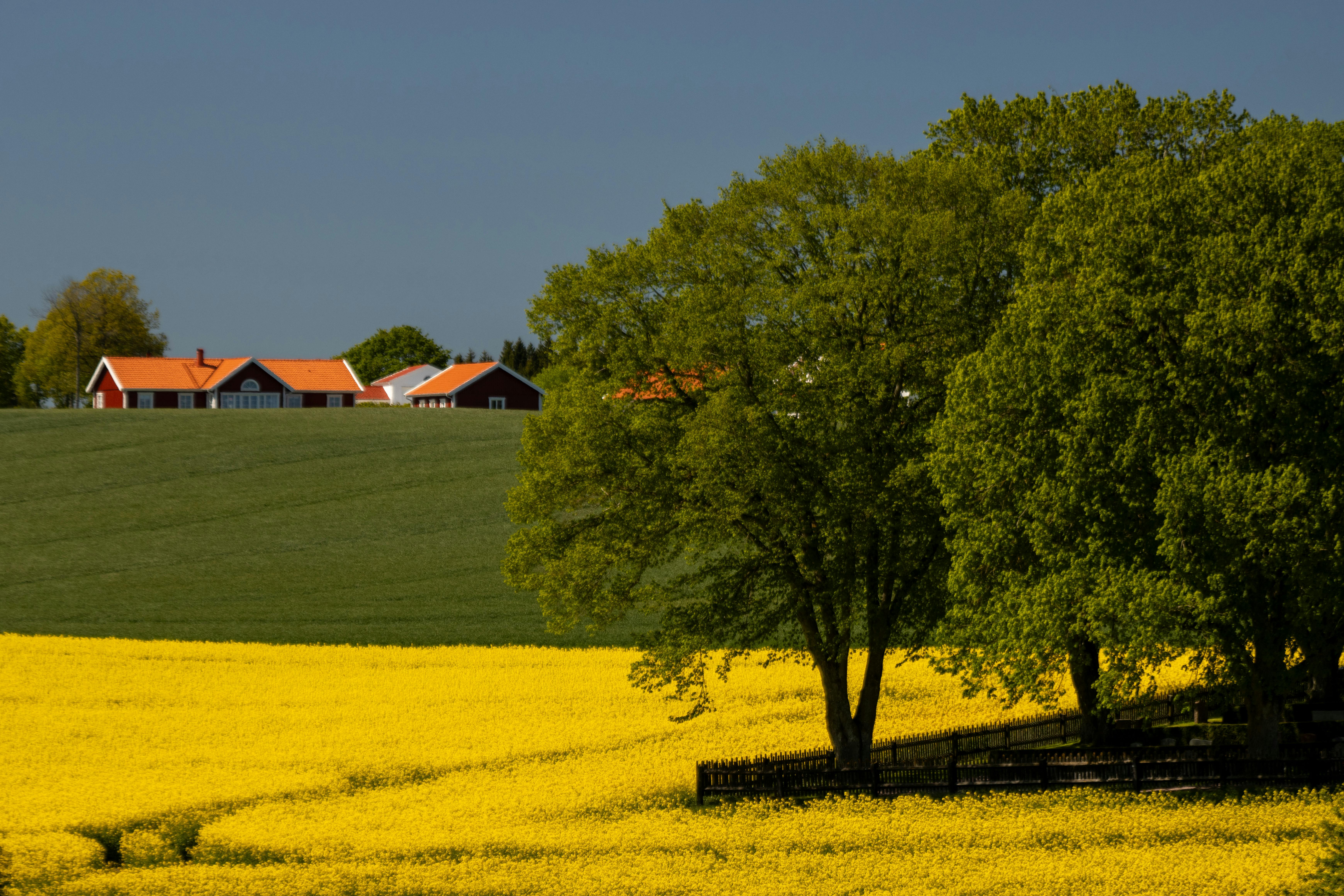 May Scenery Landscape Photos, Download The BEST Free May Scenery ...