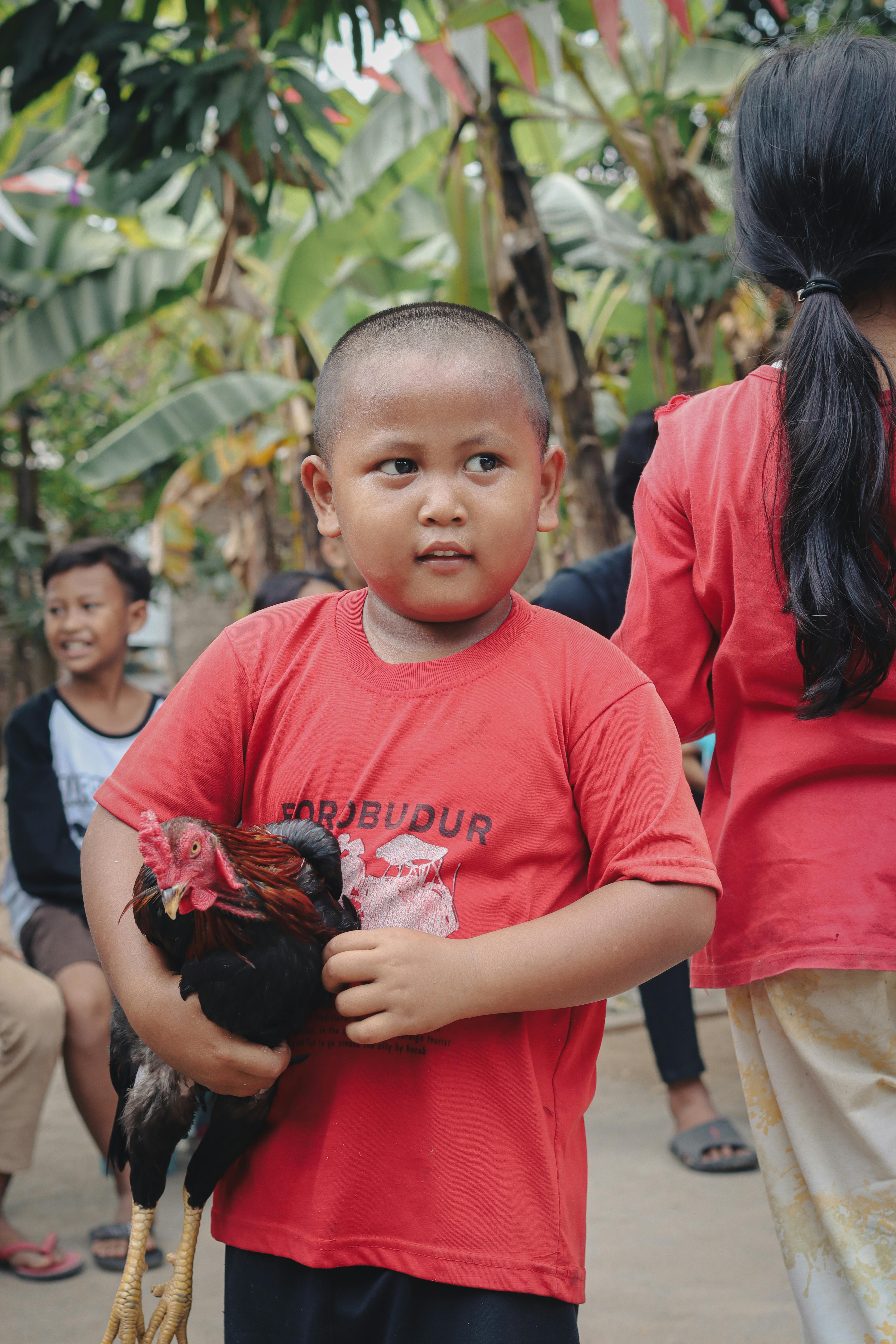 Joyful Child Holding Rooster in Rural Indonesia · Free Stock Photo