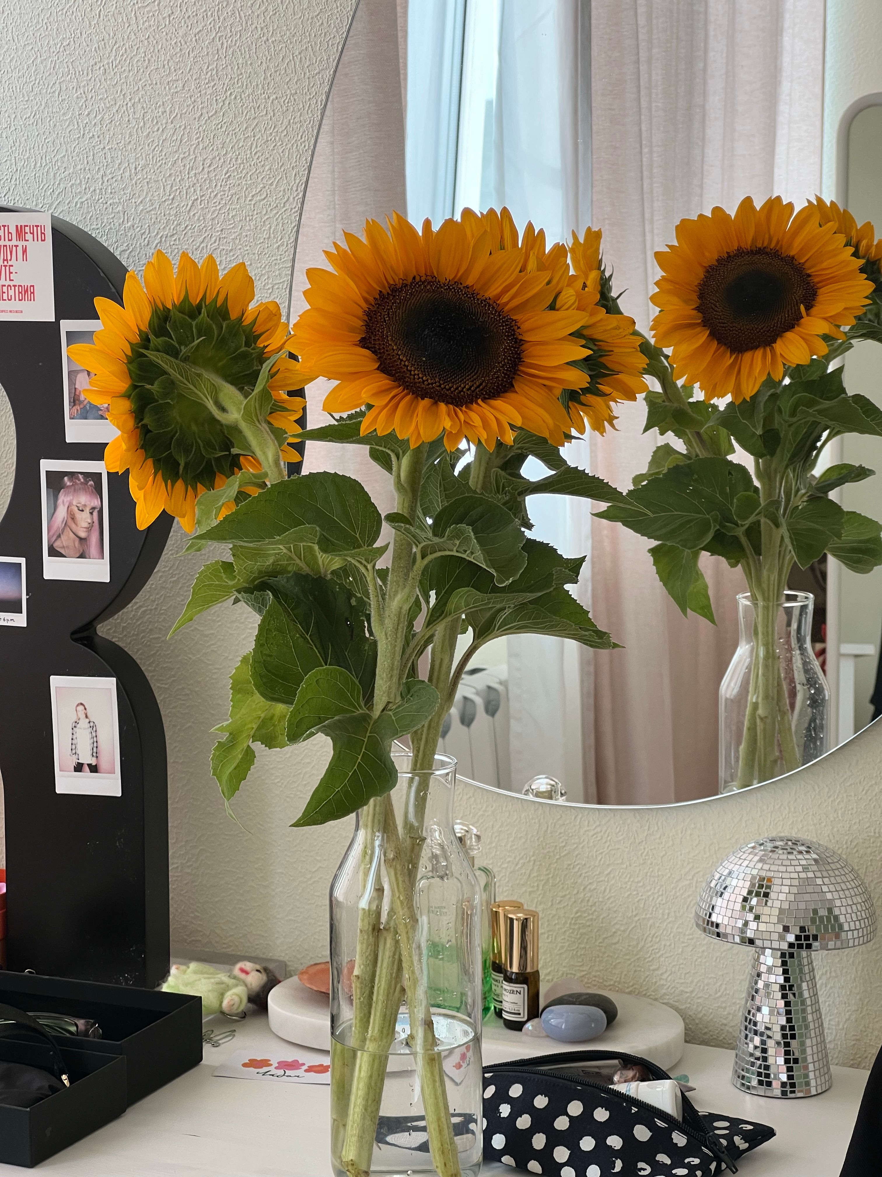 Vibrant Sunflowers Reflected in Mirror on Vanity · Free Stock Photo